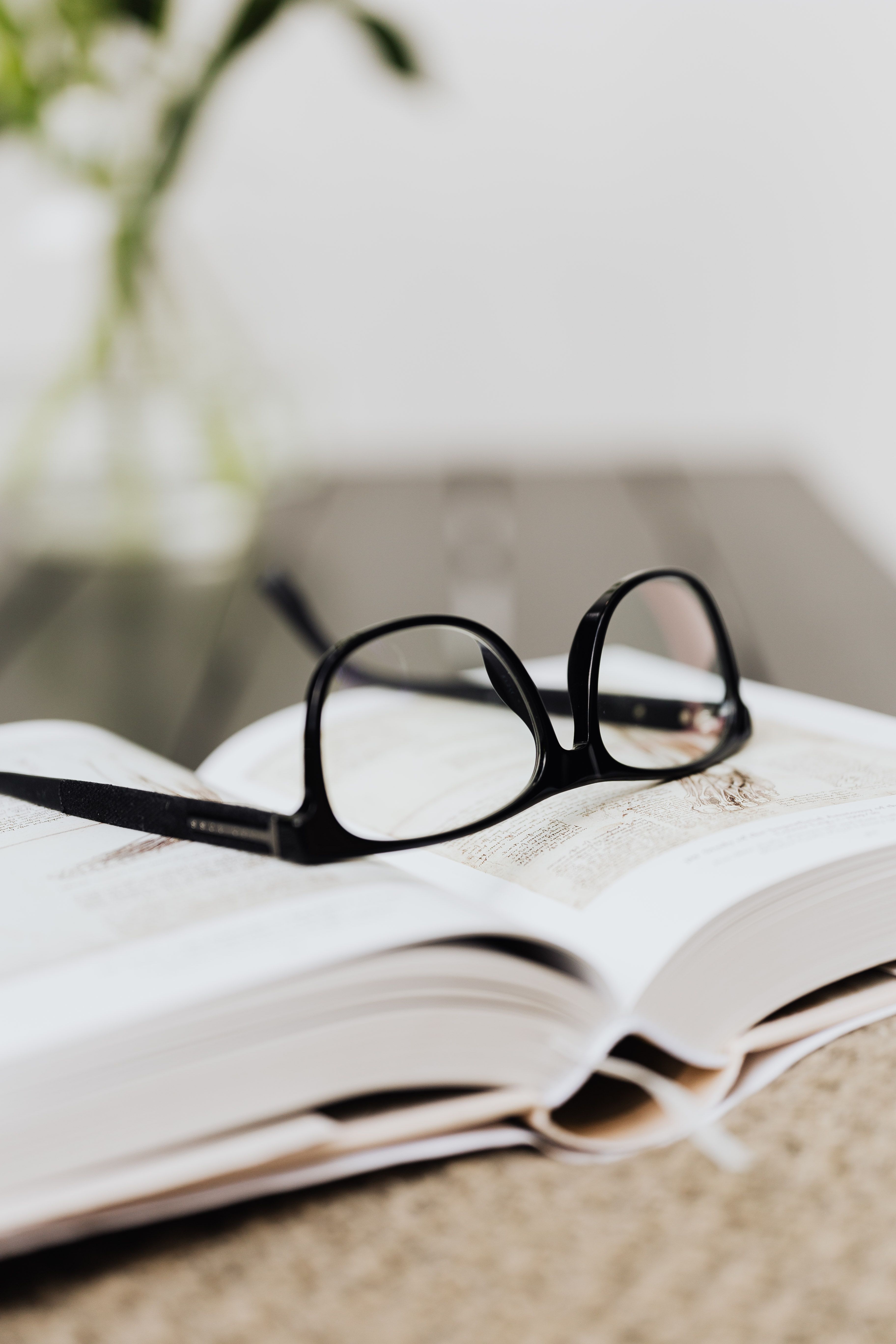 Open Lens Photos, Download The BEST Free Open Lens Stock Photos & HD Images