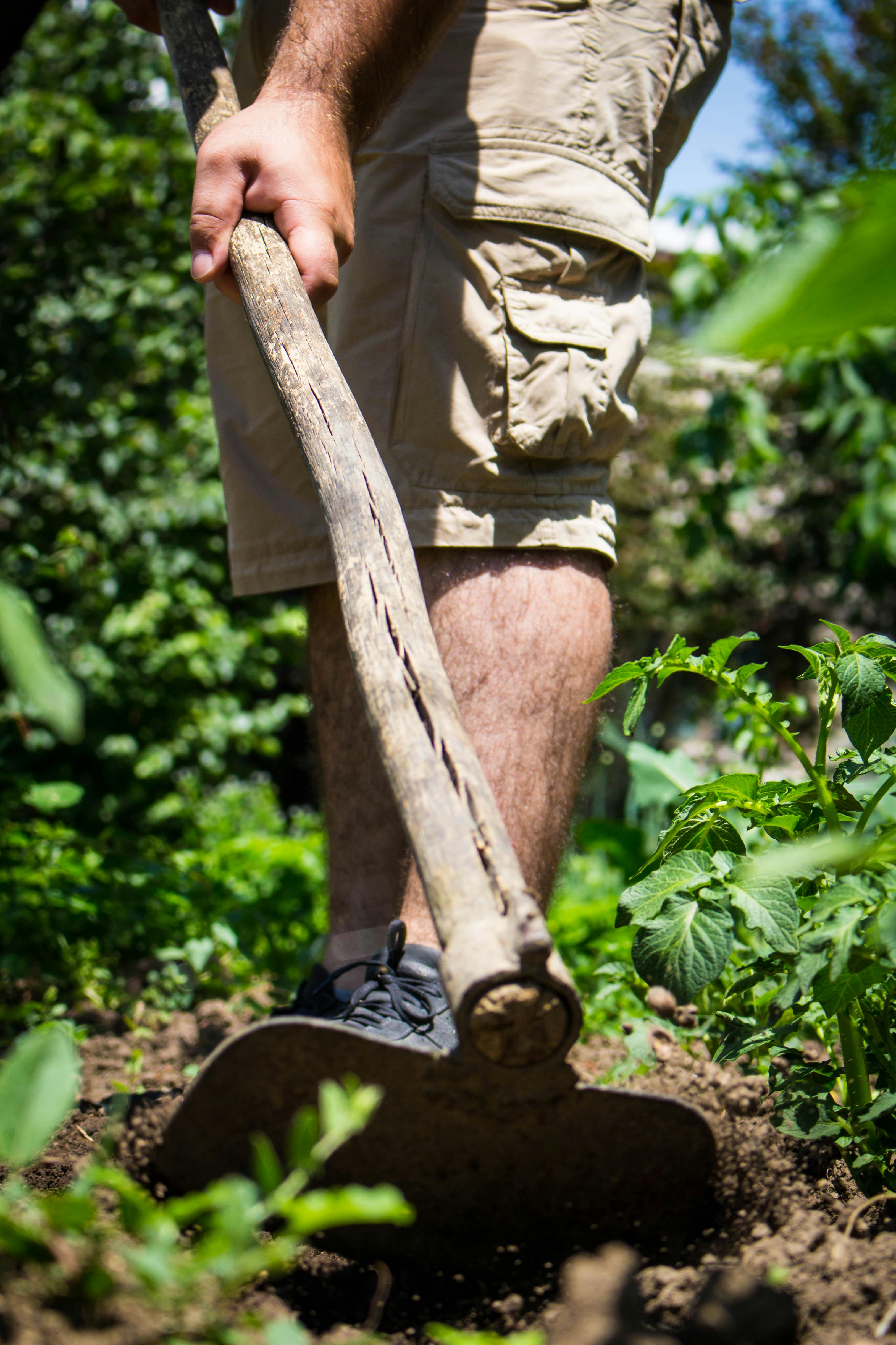 Man Working with a Soil Digger · Free Stock Photo