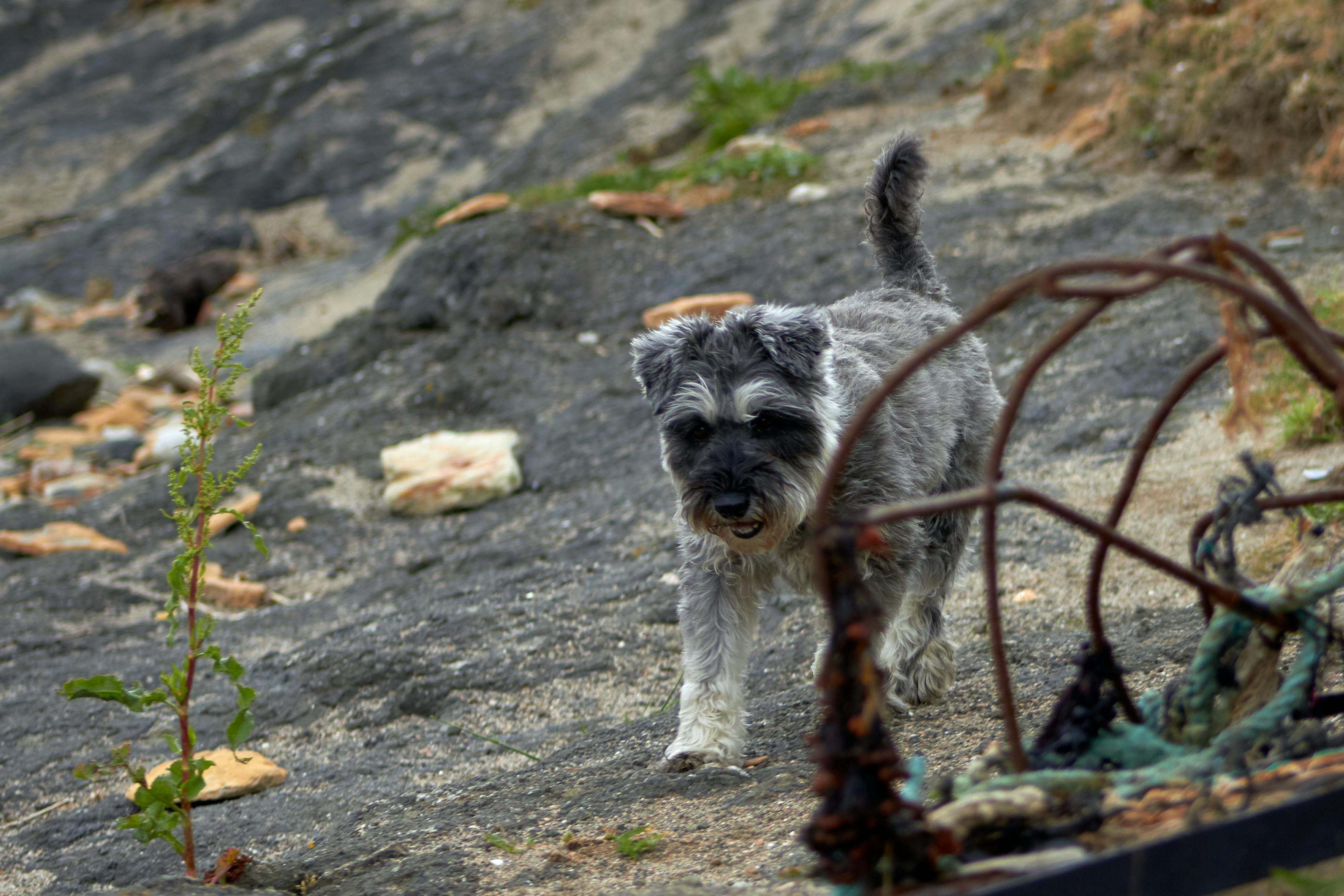 Josh Hartley - Photography