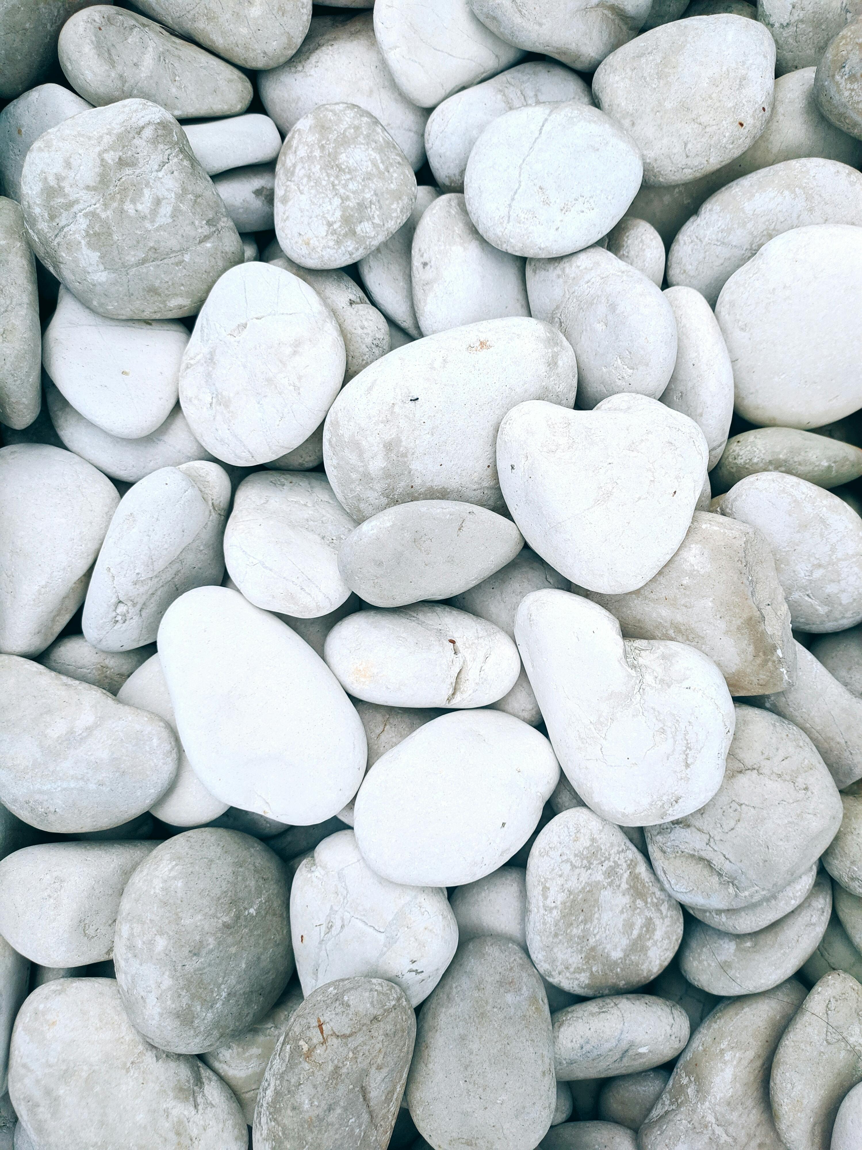 Close-Up Photo of Pebbles · Free Stock Photo