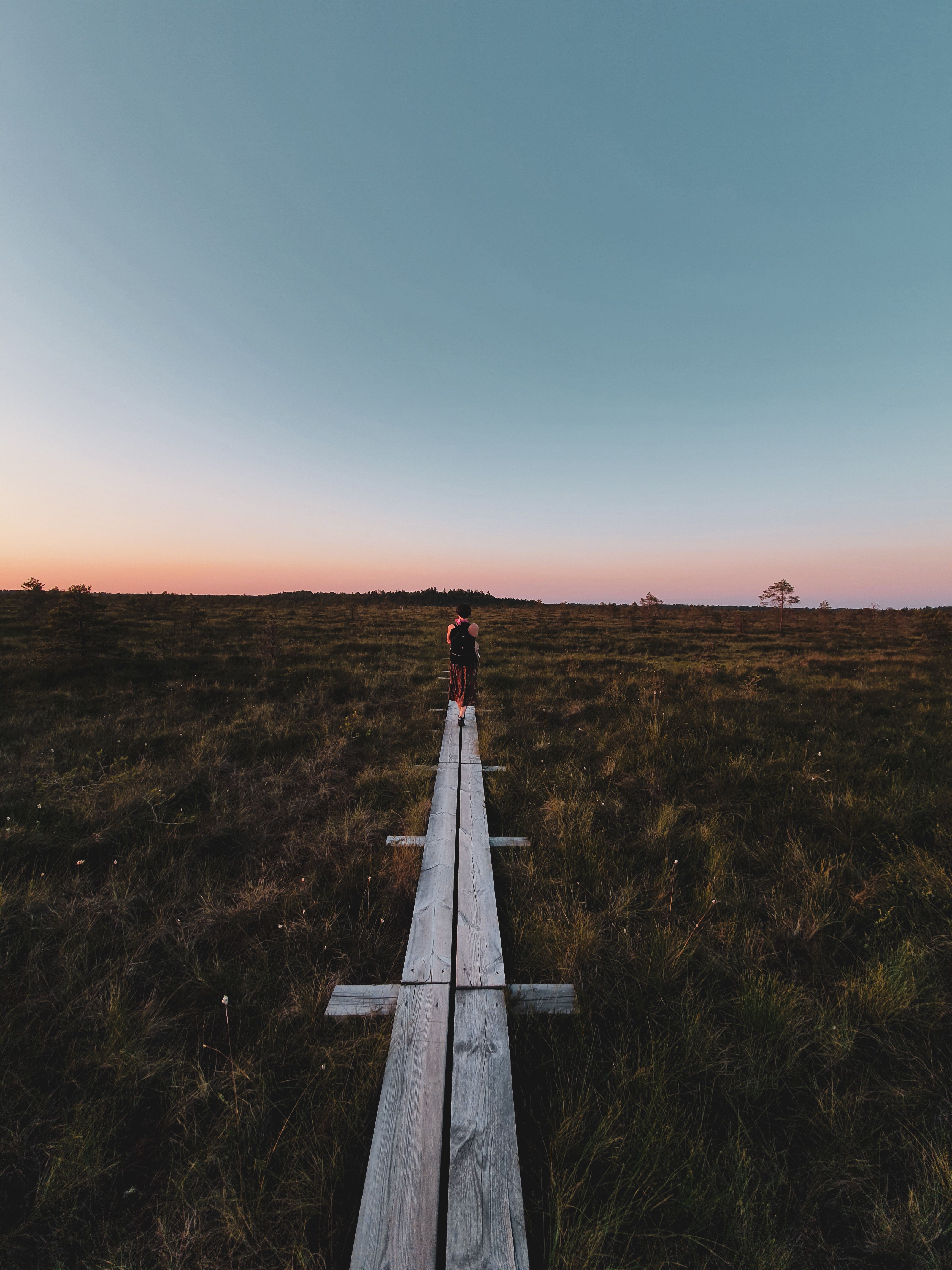 Person Walking on Gray Wooden Trail on Grass Field · Free Stock Photo