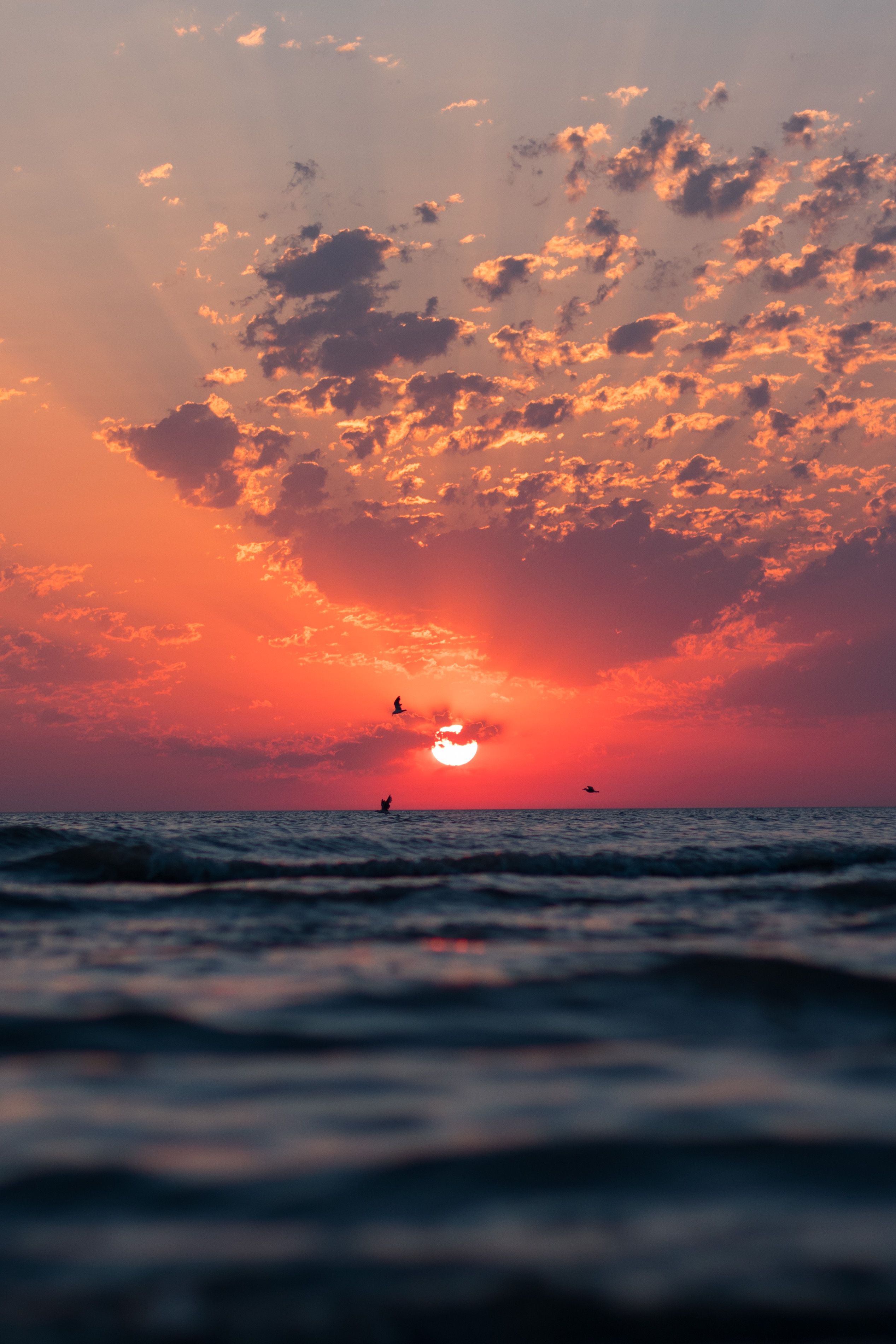 Red Sky and Cloudscape At Sunset · Free Stock Photo