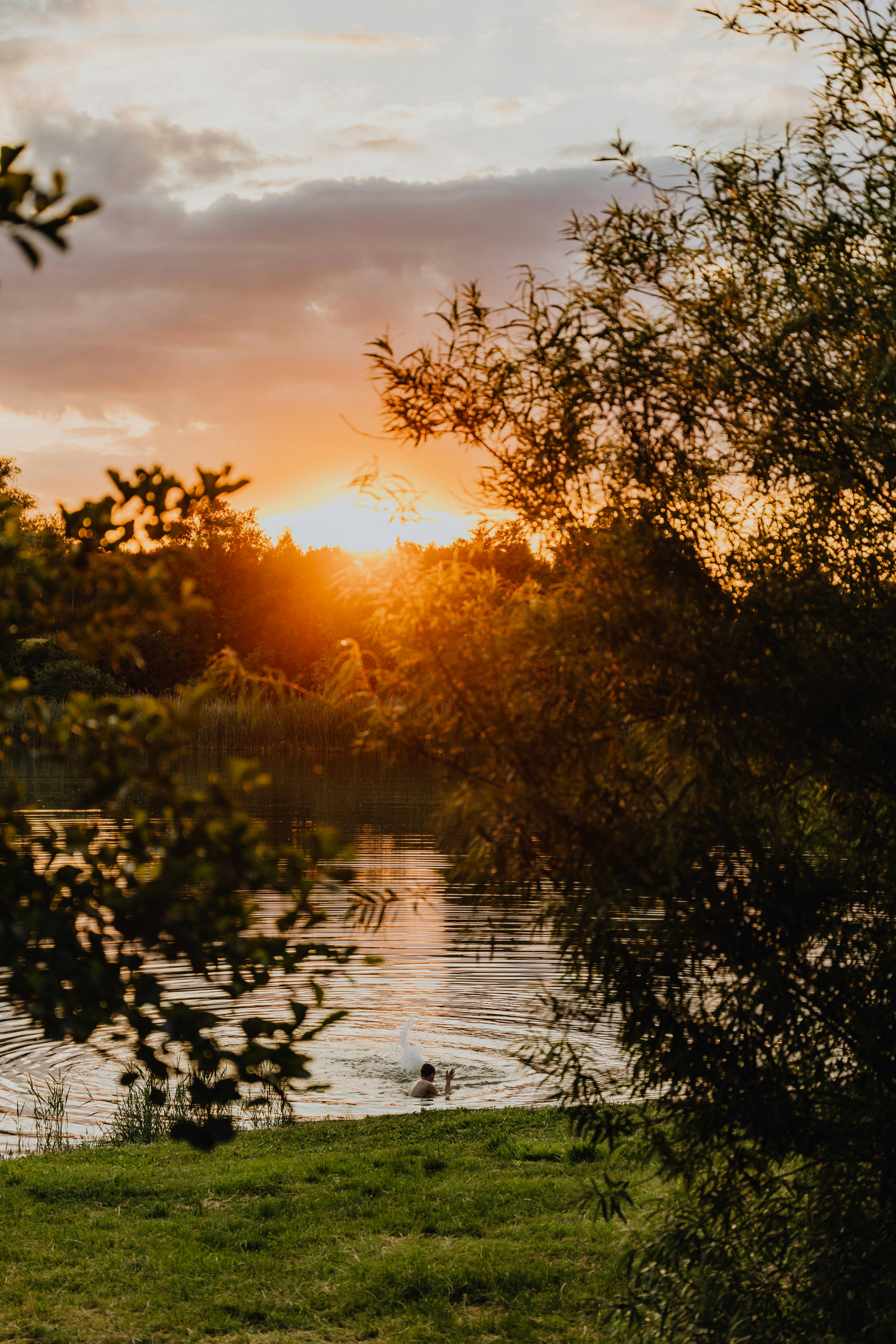 Sunset Over a Pond Visible From Behind the Trees · Free Stock Photo