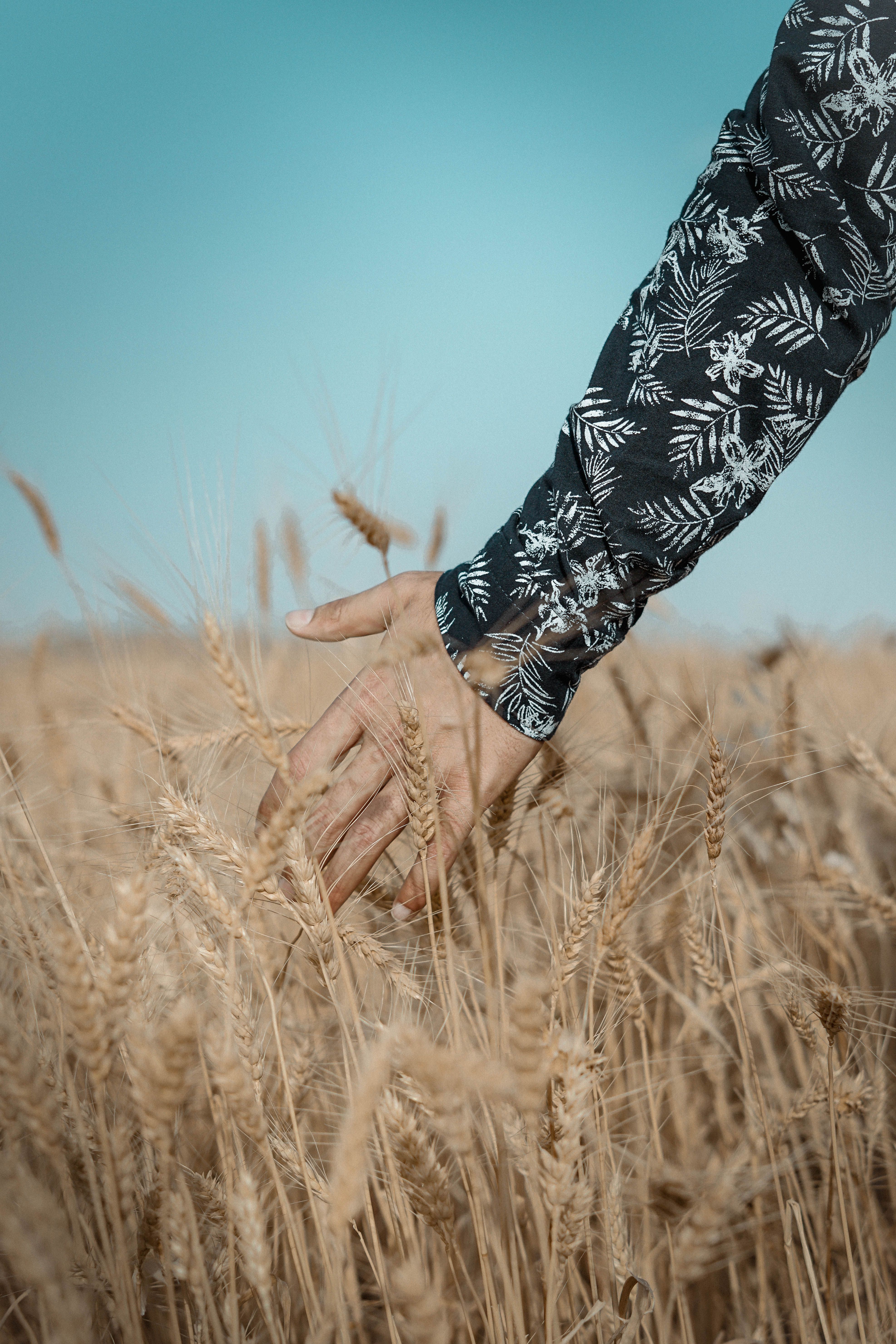 Fingertips Touching Sky Nature Photos, Download The BEST Free ...