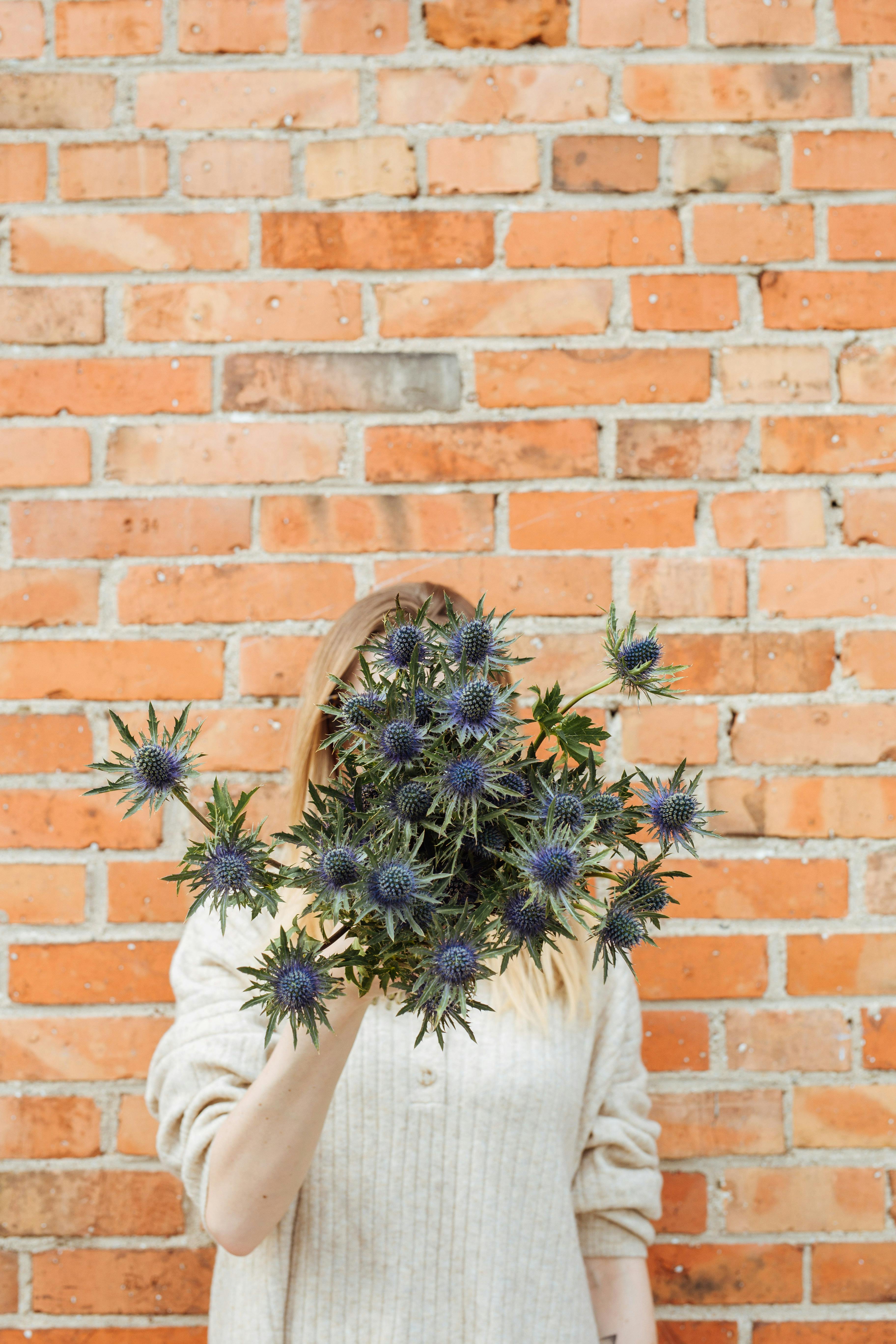 Flowers over Woman Face · Free Stock Photo
