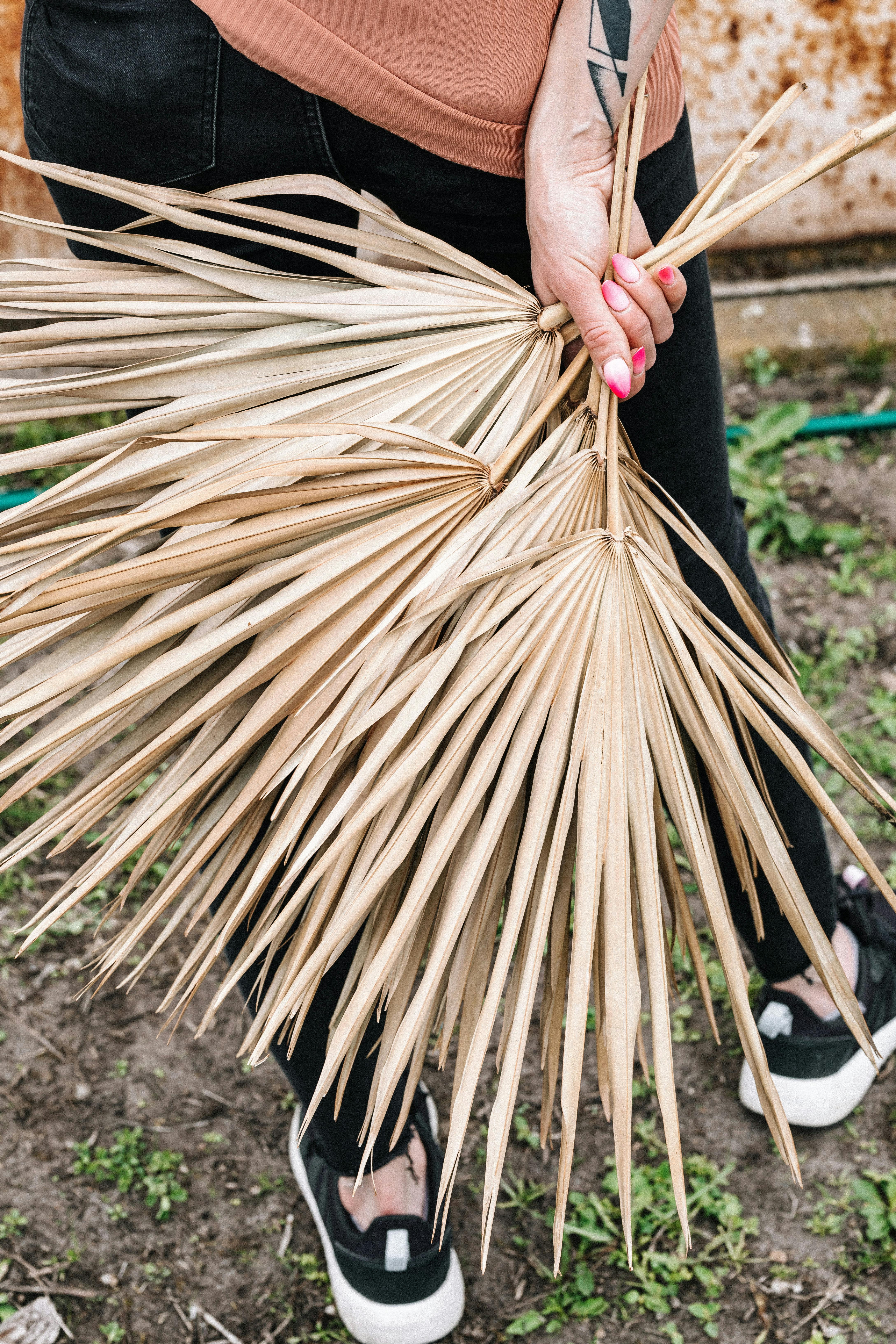 30,000+ Best Dried Straw Leaves Photos · 100% Free Download · Pexels ...