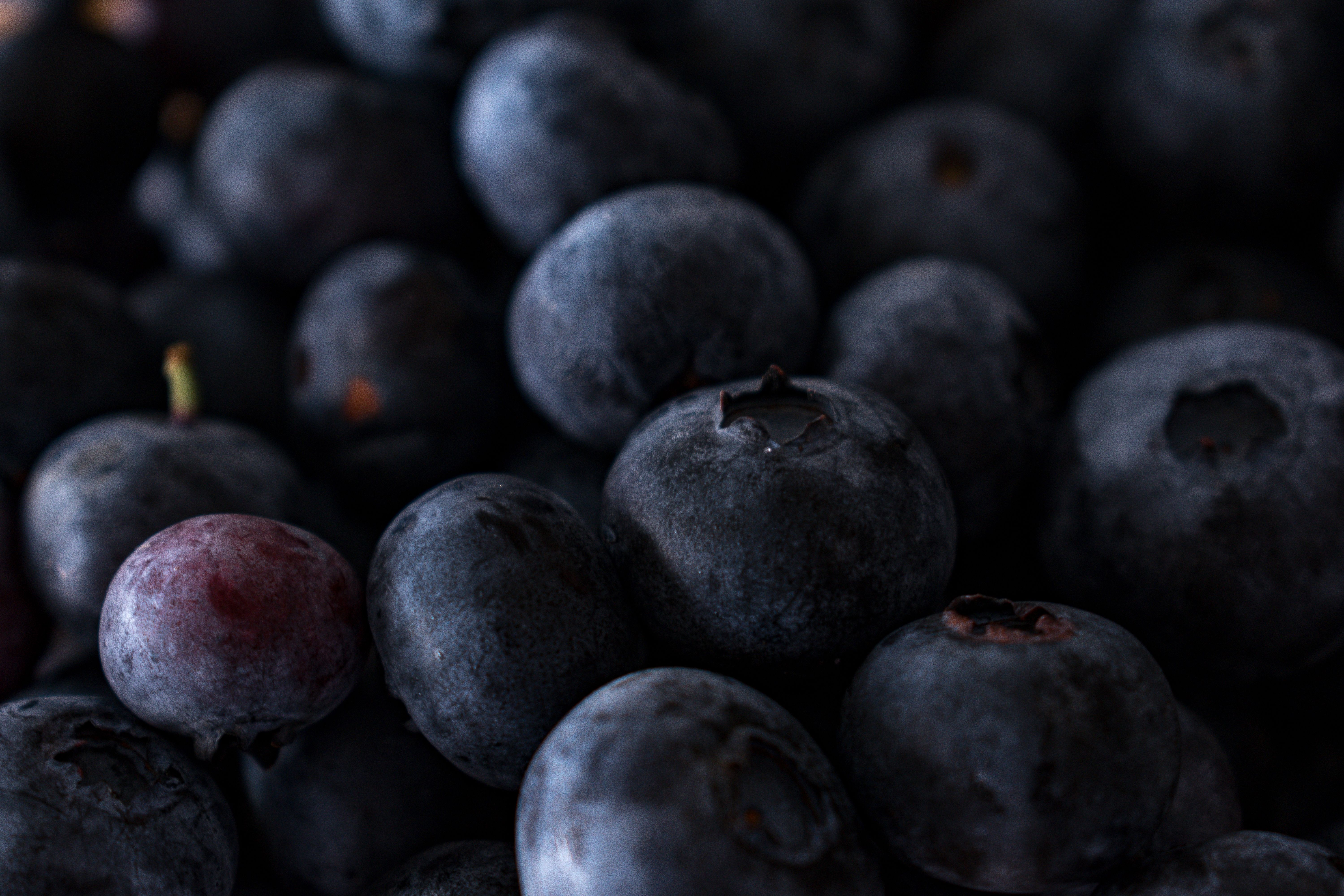 Blueberries In Close Up Photography Free Stock Photo