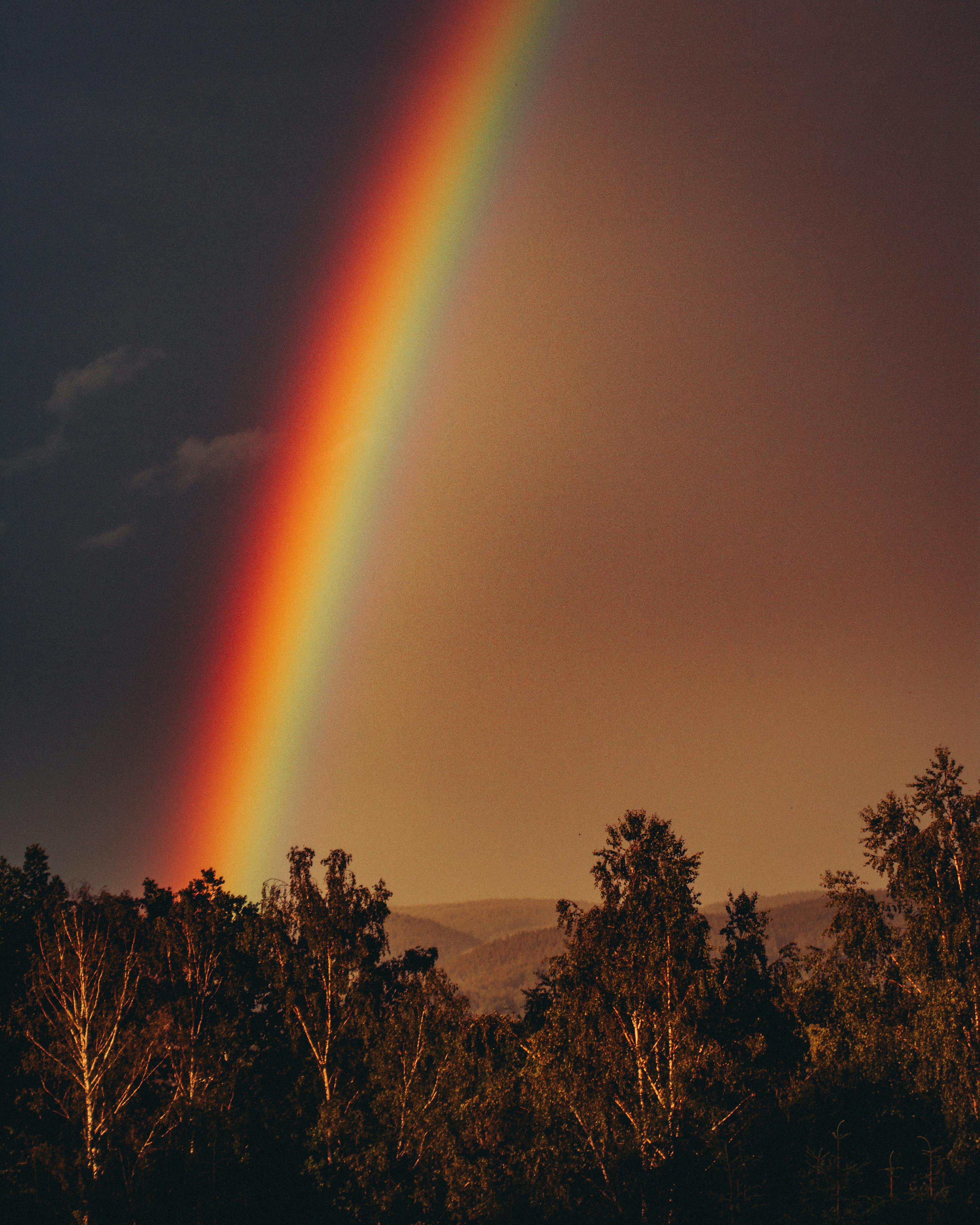 Rainbow In Forest Photos, Download The BEST Free Rainbow In Forest ...