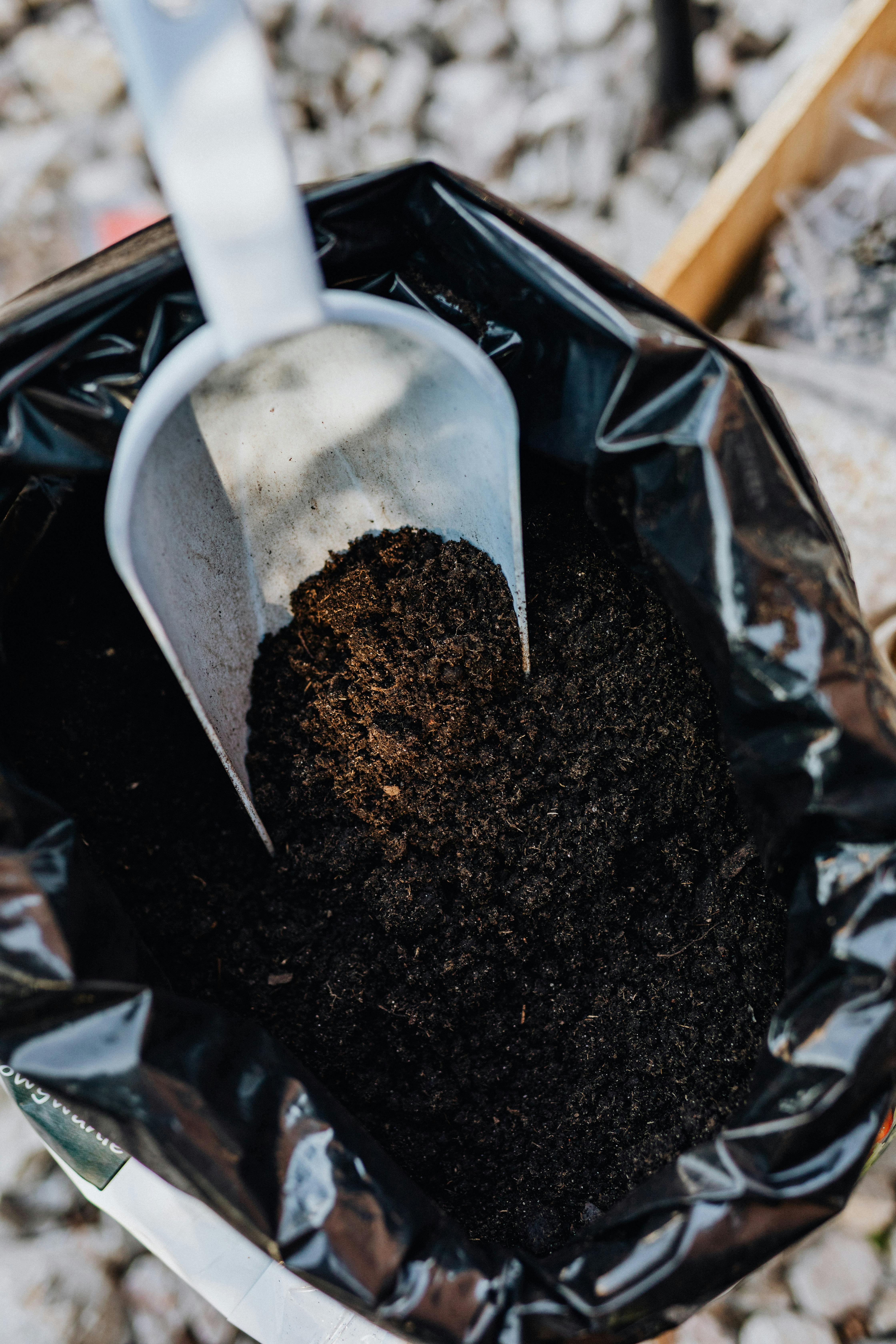 Compost Photos, Download The BEST Free Compost Stock Photos & HD Images