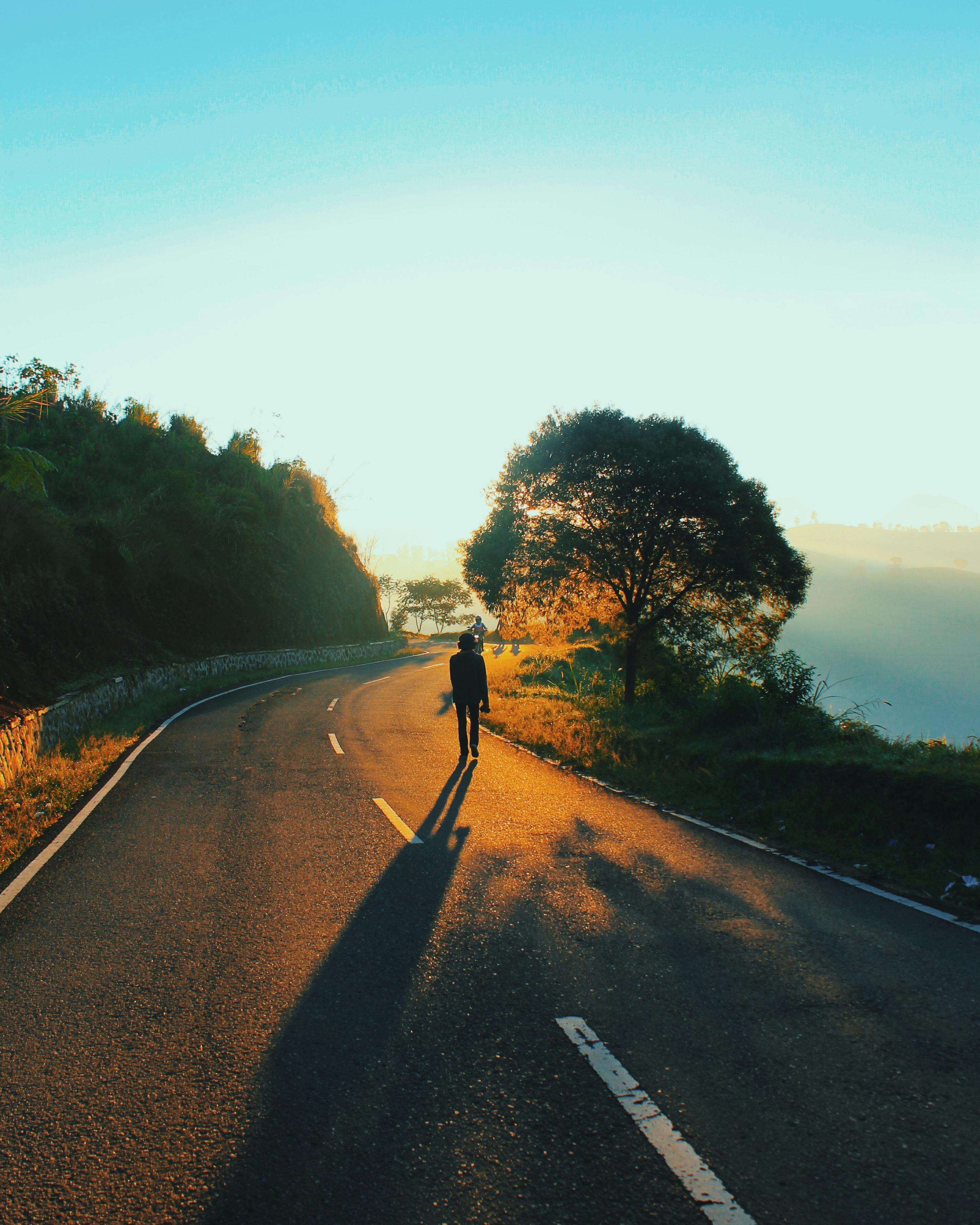 Vertical Sunrise Photos, Download The BEST Free Vertical Sunrise Stock ...