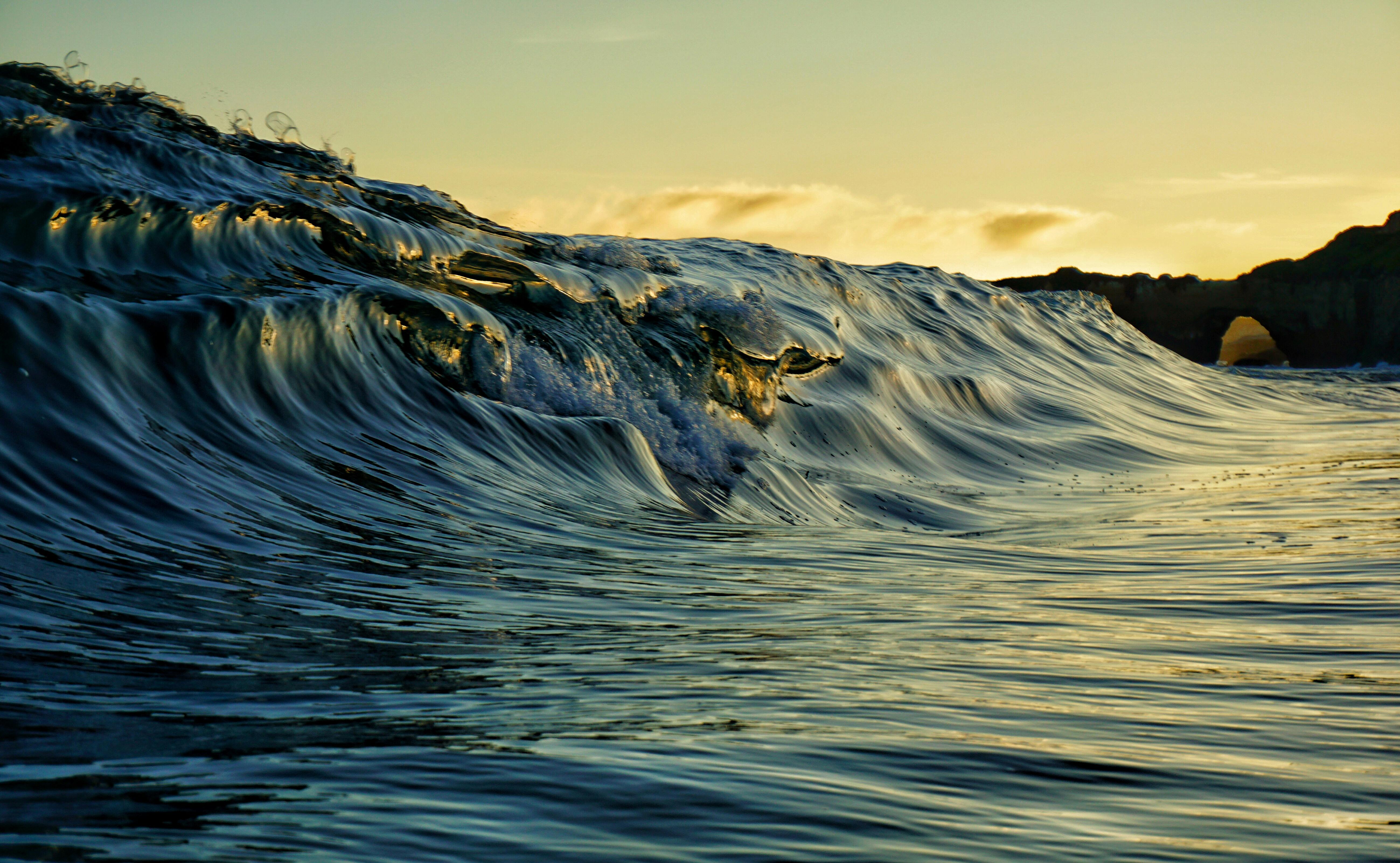 A Huge Wave on a Sea · Free Stock Photo