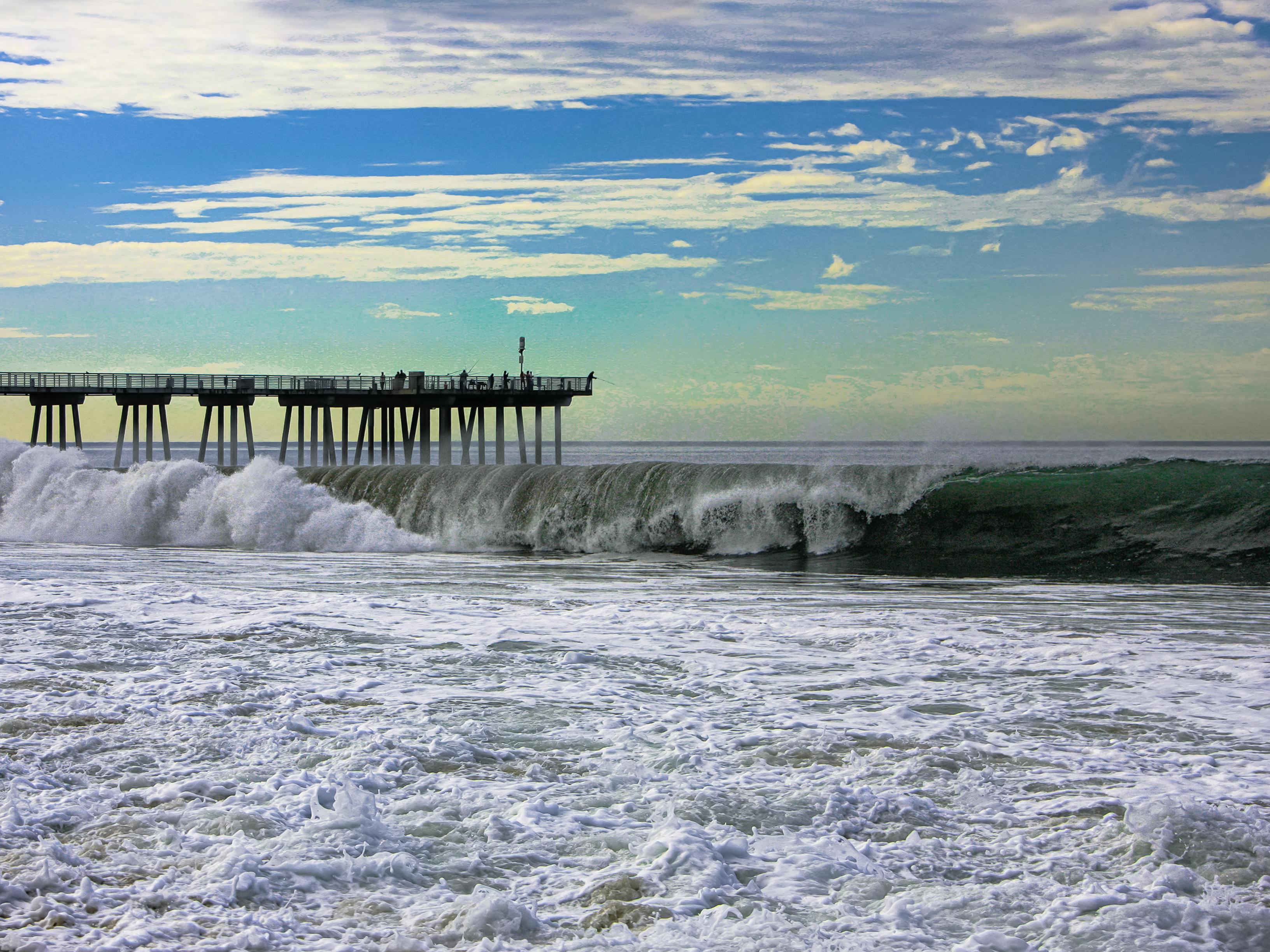 Isabel Fowler - Fotografía