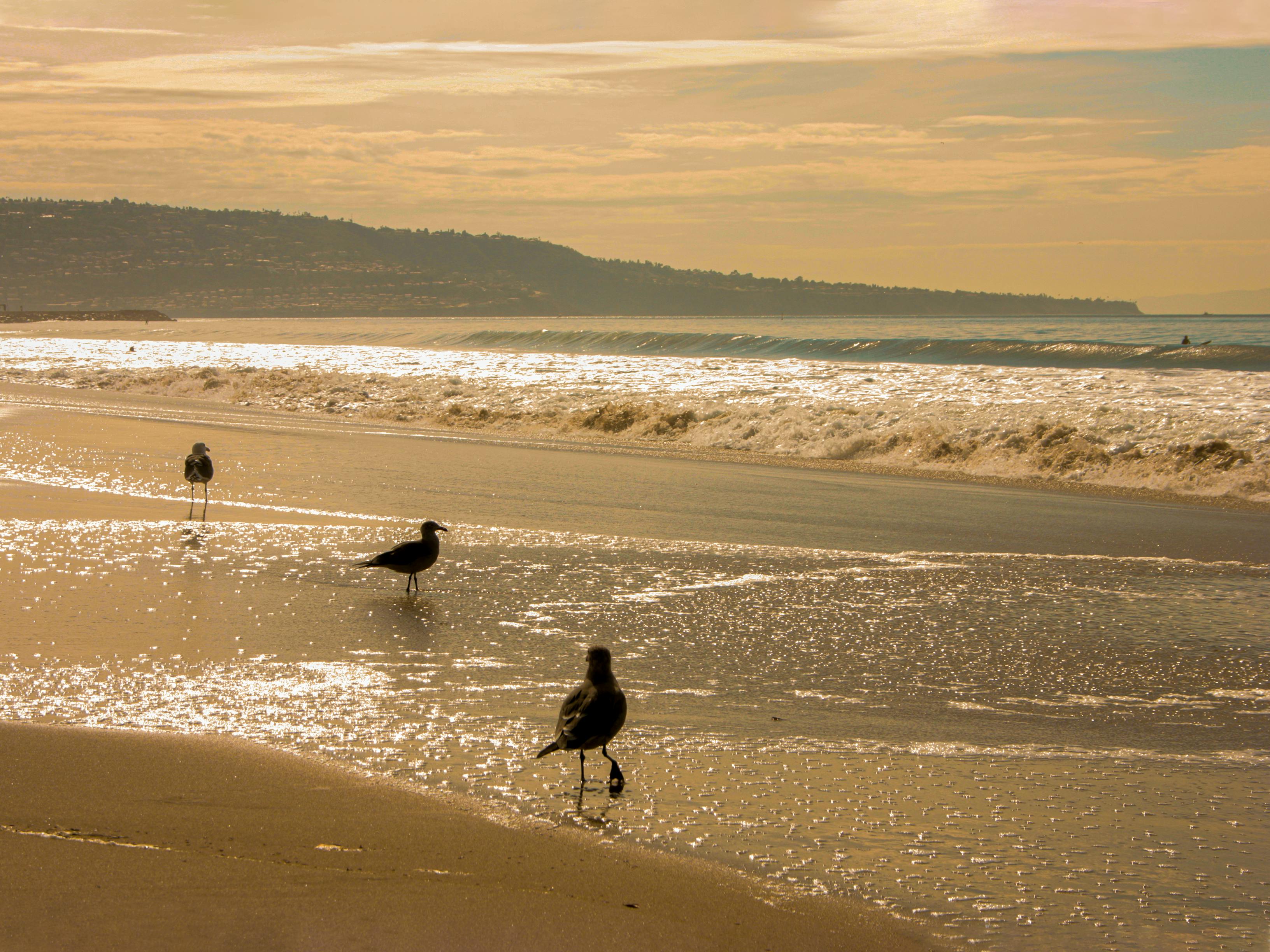 Isabel Fowler - Fotografía