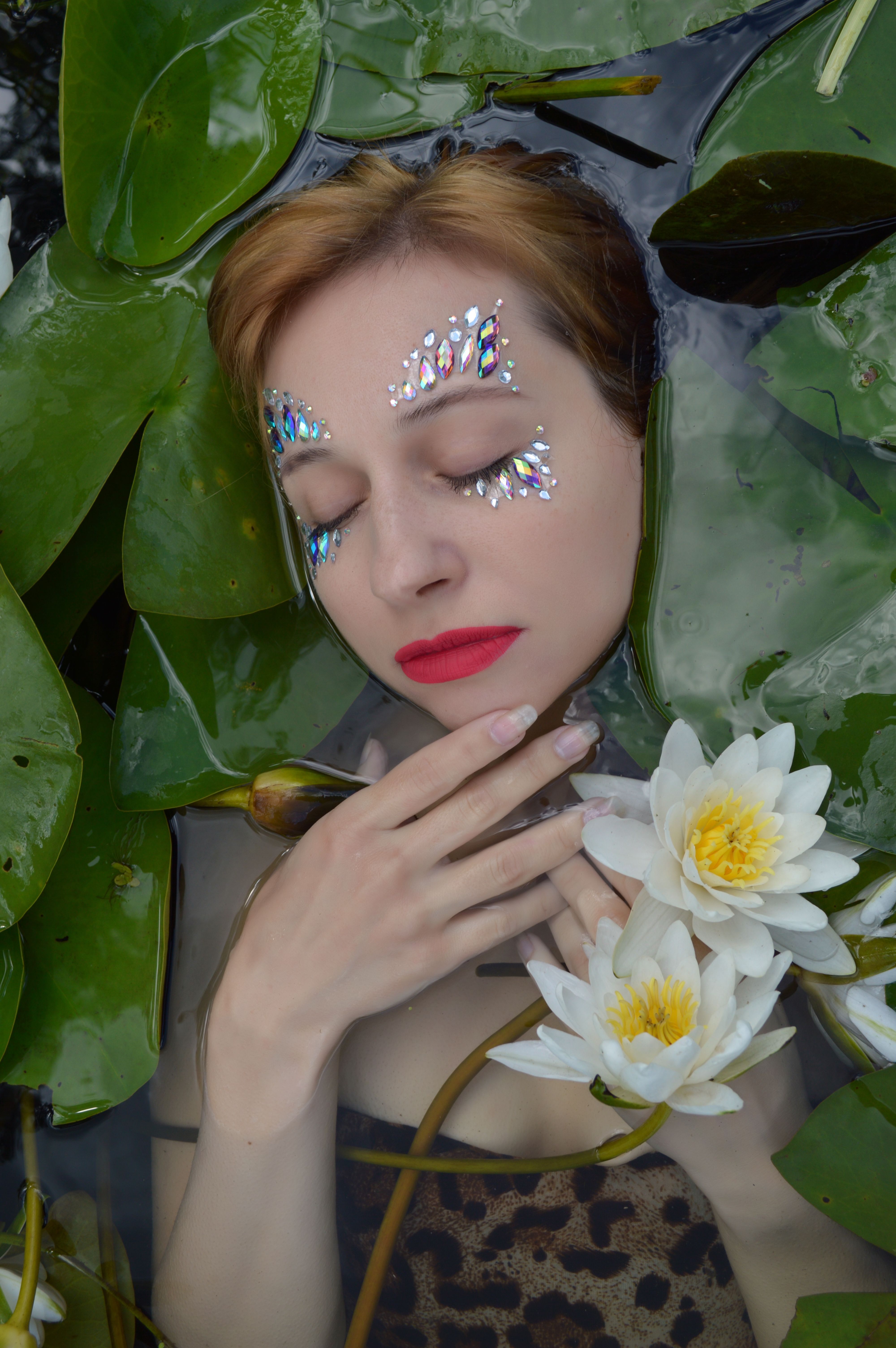 Lady Lily Pads Photos, Download The BEST Free Lady Lily Pads Stock ...
