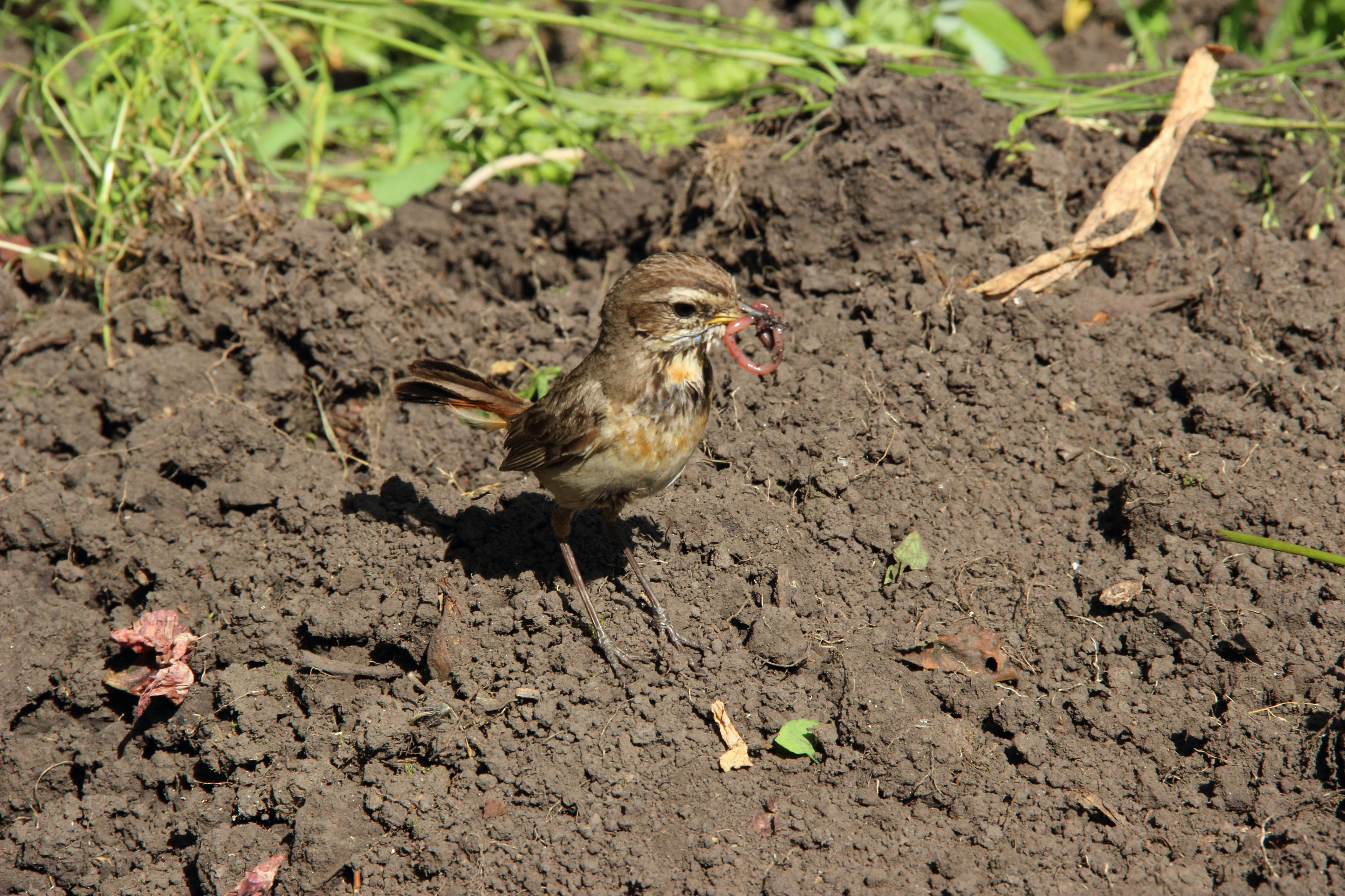 Victor - Photography