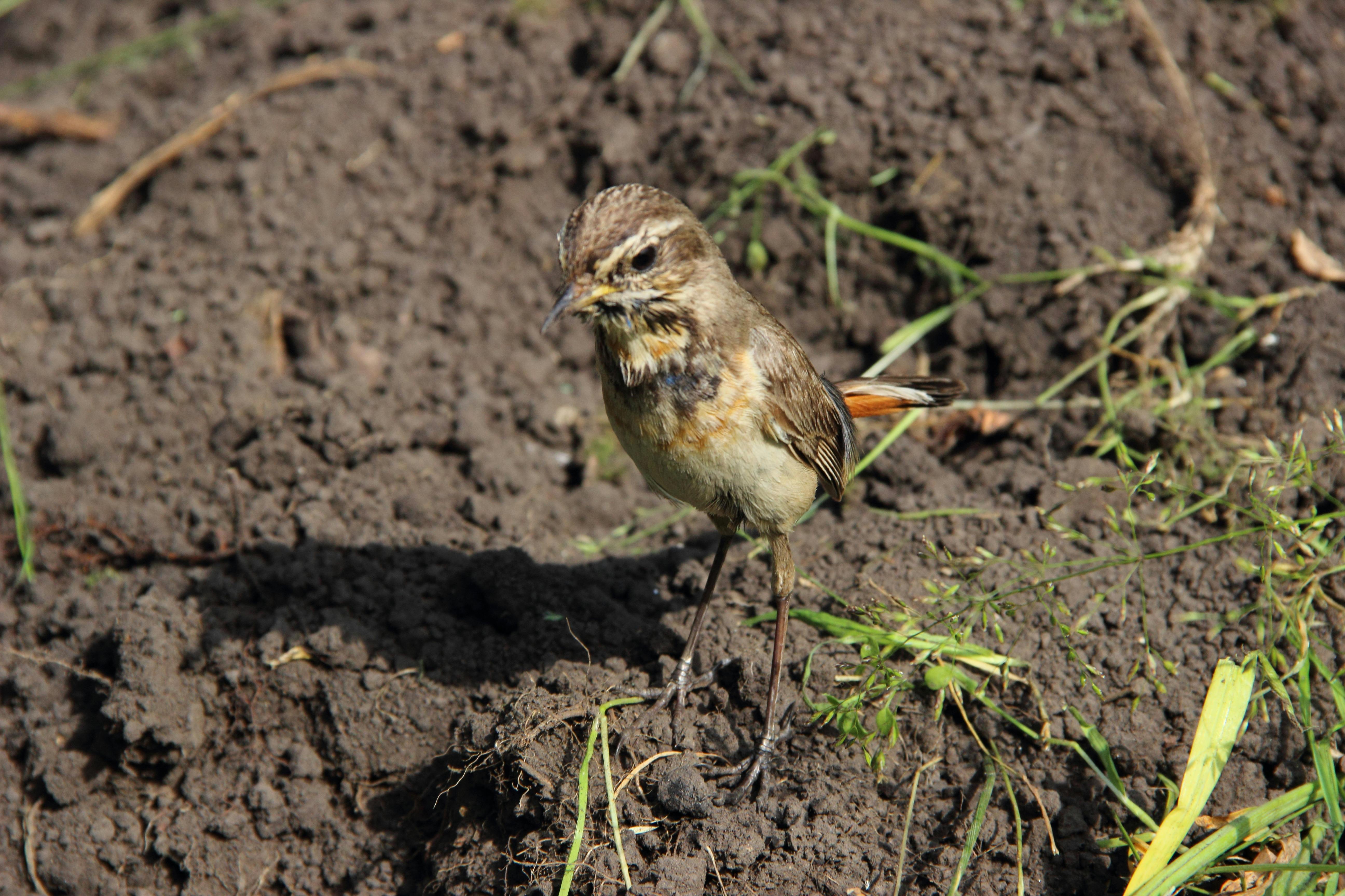 Victor - Photography