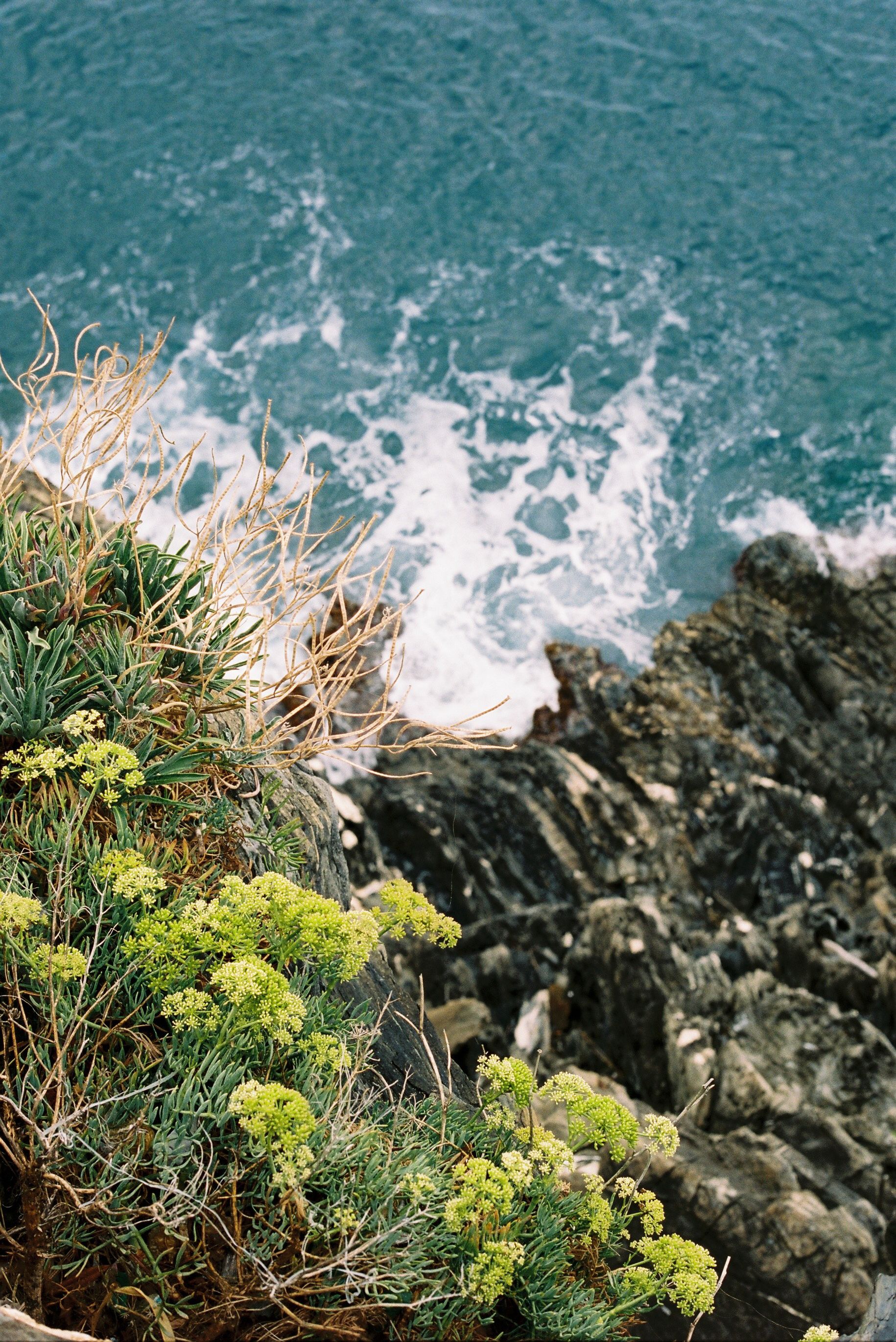 Plants Crash Photos, Download The BEST Free Plants Crash Stock Photos ...