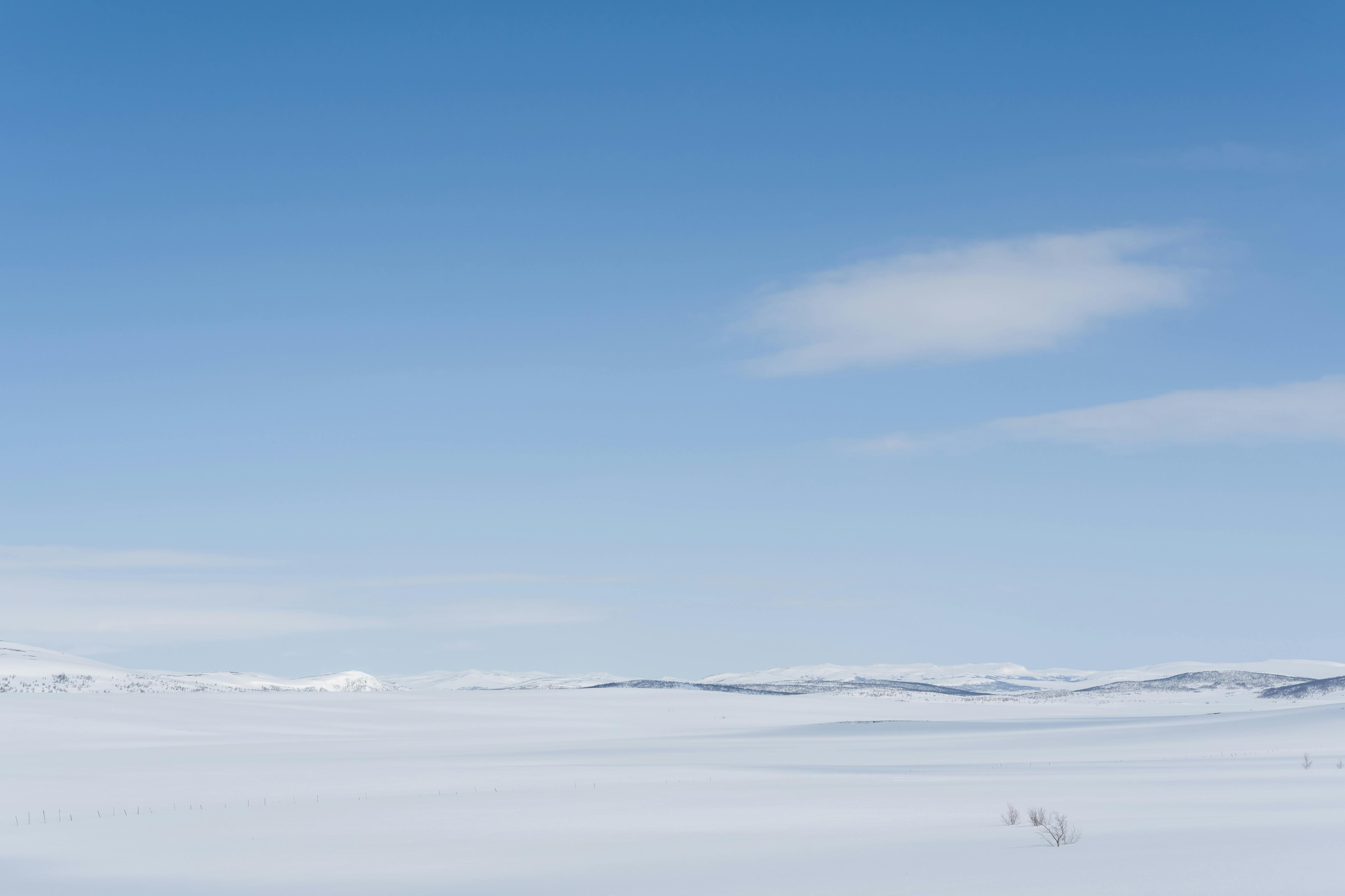A Land Covered in Snow · Free Stock Photo