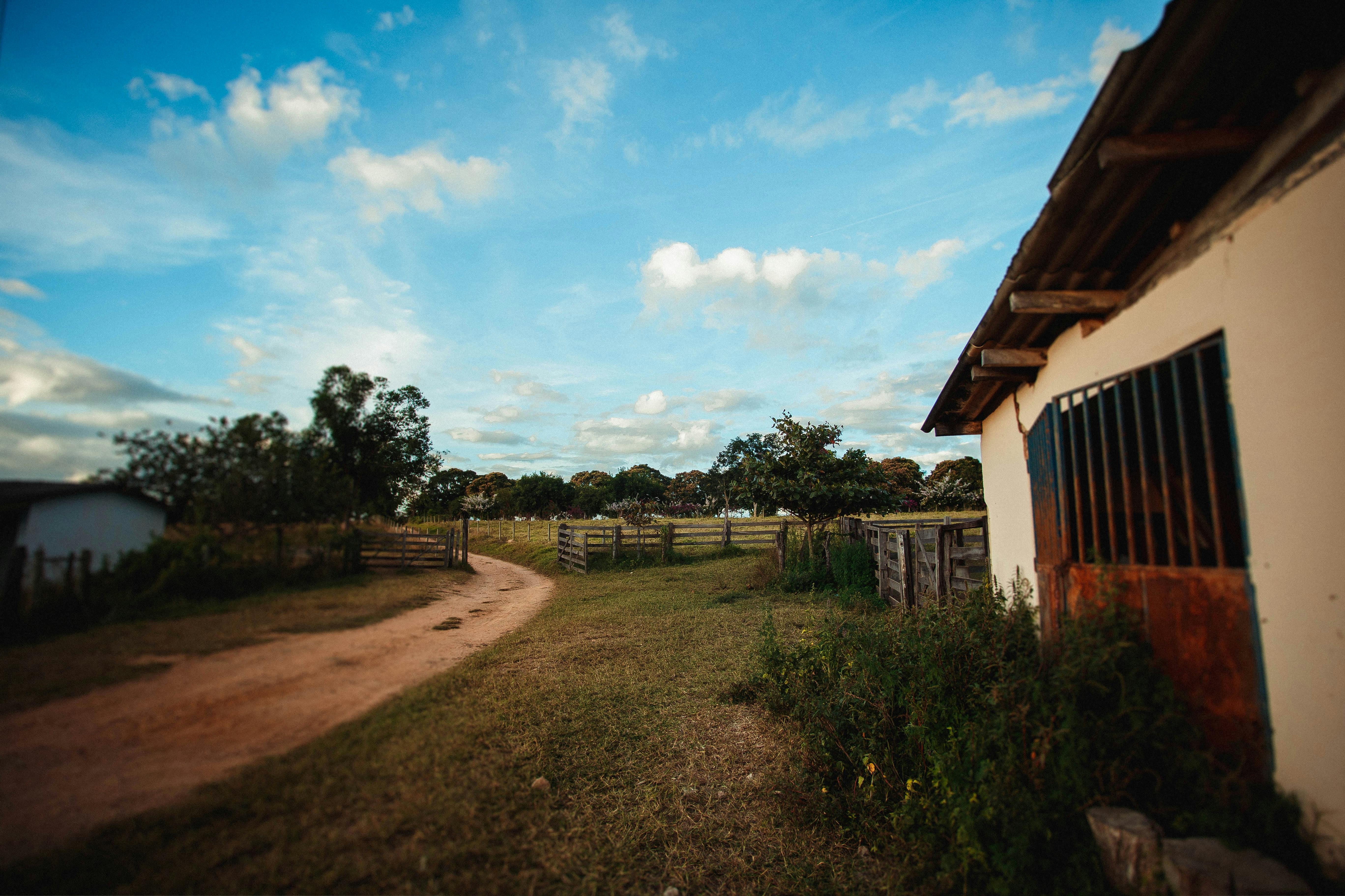 160,028+ Best Free Simple landscape Stock Photos & Images · 100% ...