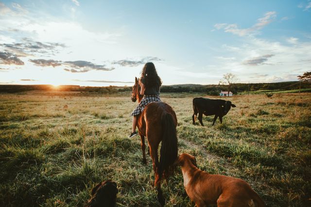 Cow Hocked Dog: Understanding Health and Mobility Issues