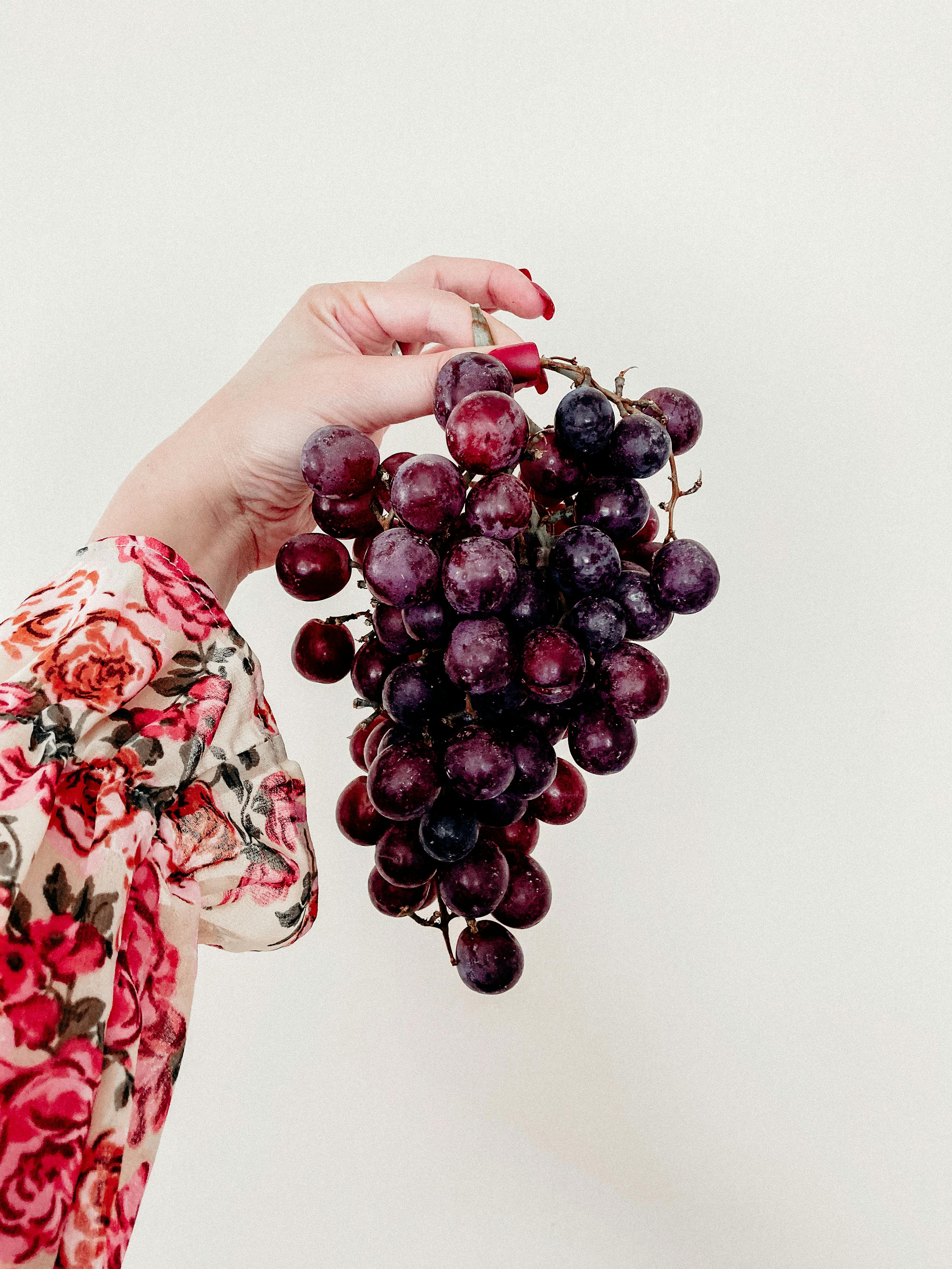 Close-Up Shot of a Person Holding a Bunch of Grapes · Free Stock Photo