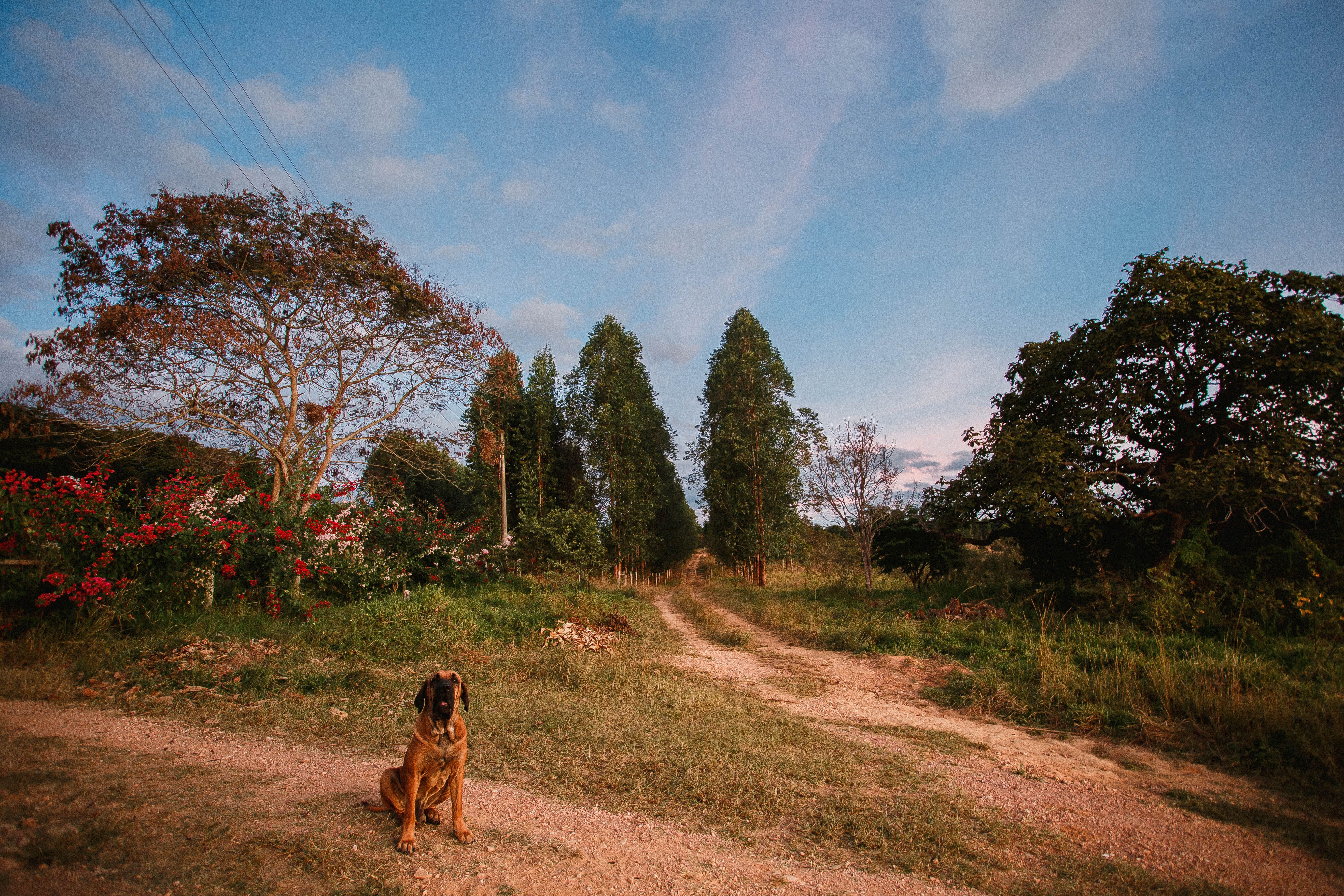 Somali Environment Photos, Download The BEST Free Somali Environment ...