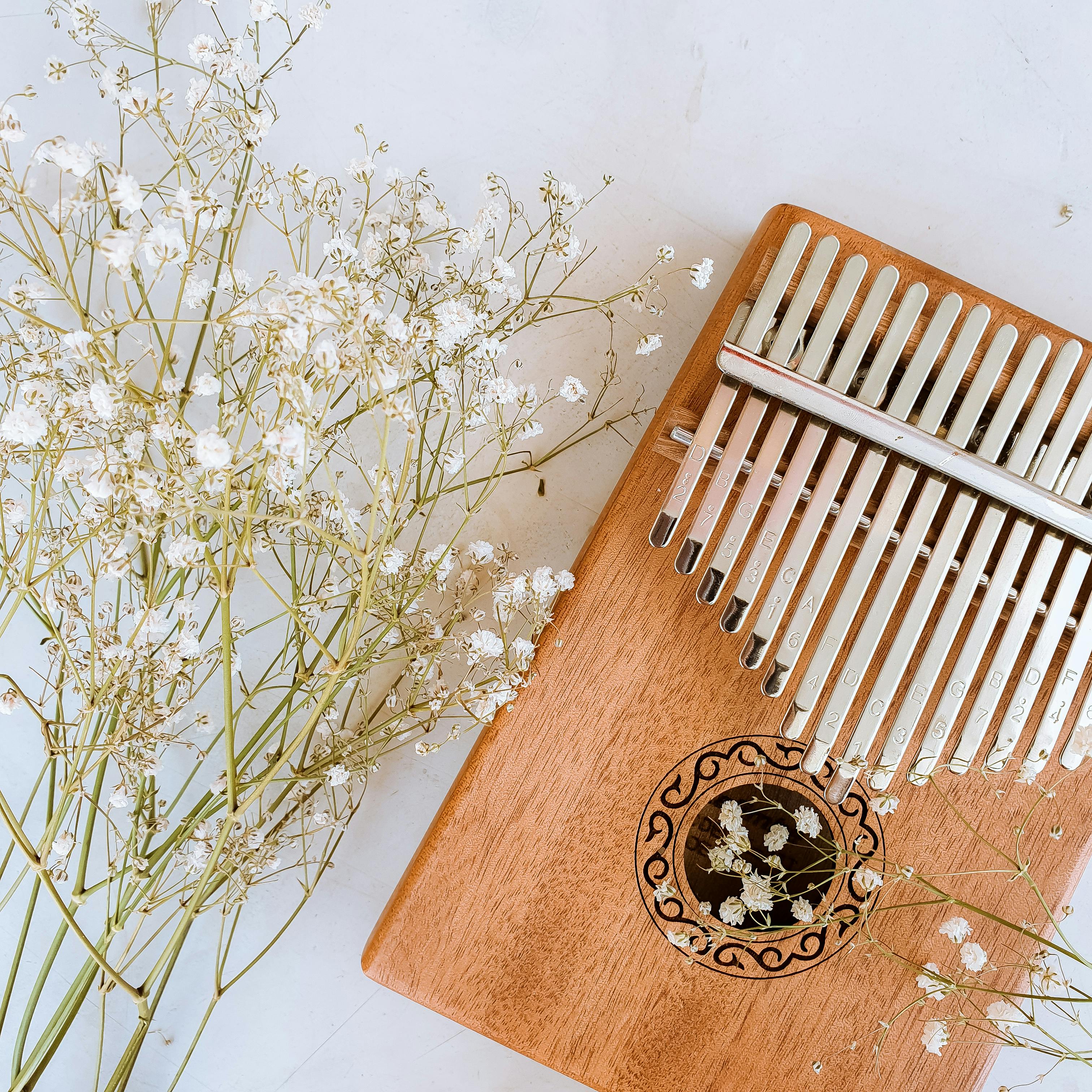 Kalimba an Tiny White Flowers · Free Stock Photo