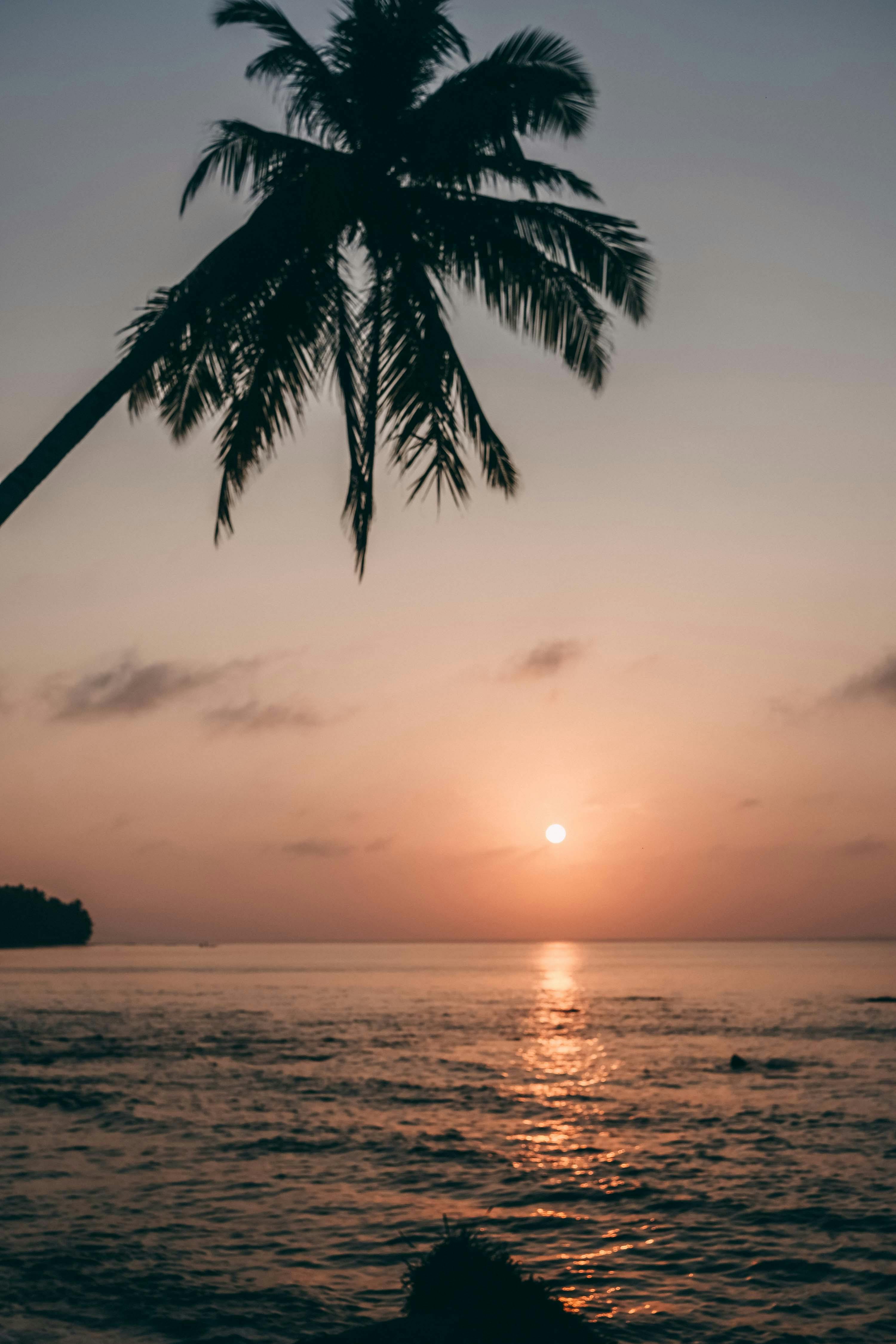 Retreat Photos, Download The BEST Free Retreat Stock Photos & HD Images