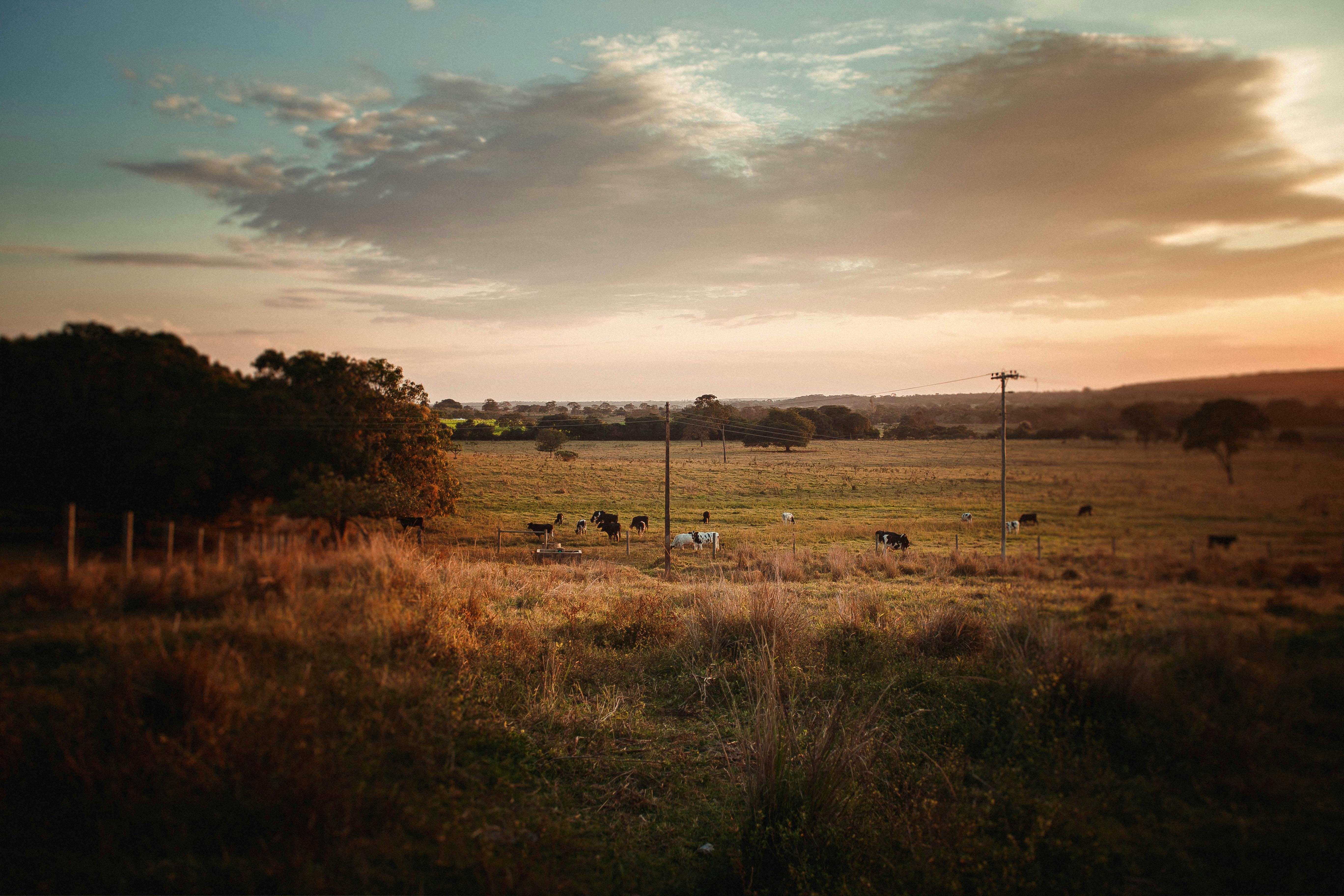 Feed Ig Post Photos, Download The BEST Free Feed Ig Post Stock Photos ...