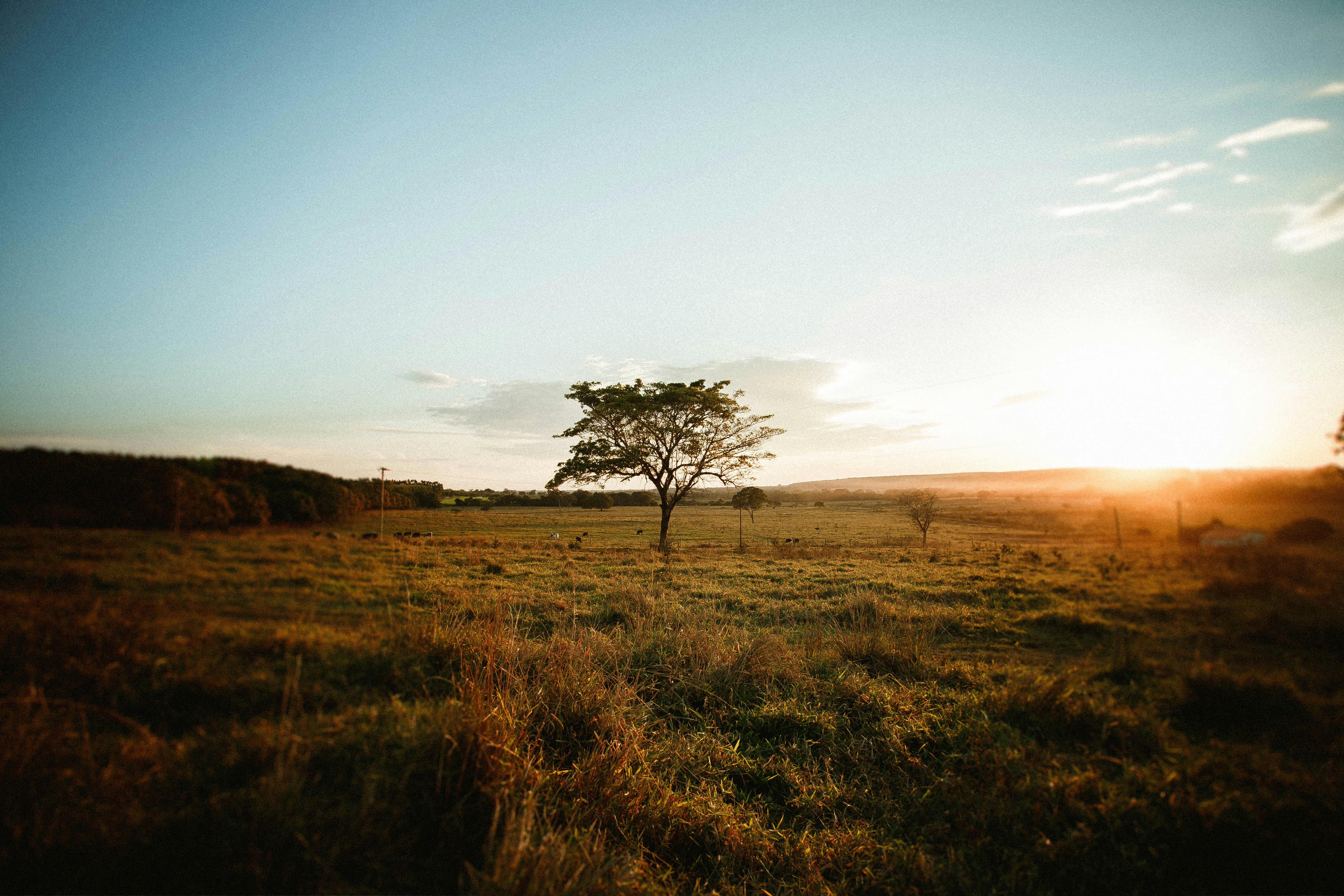 Bright sunset sky over countryside with trees · Free Stock Photo
