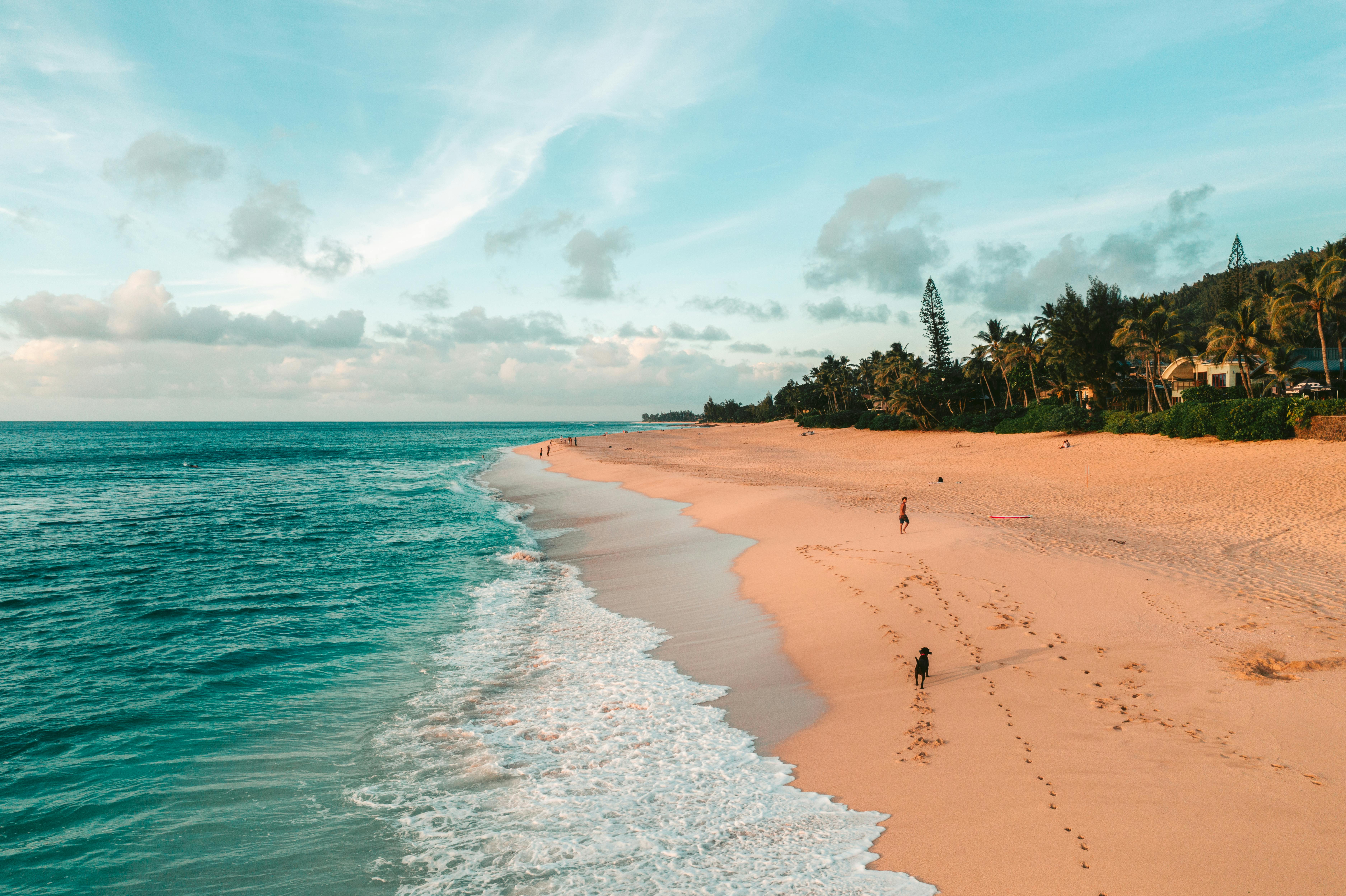 People Walking on the Beach · Free Stock Photo