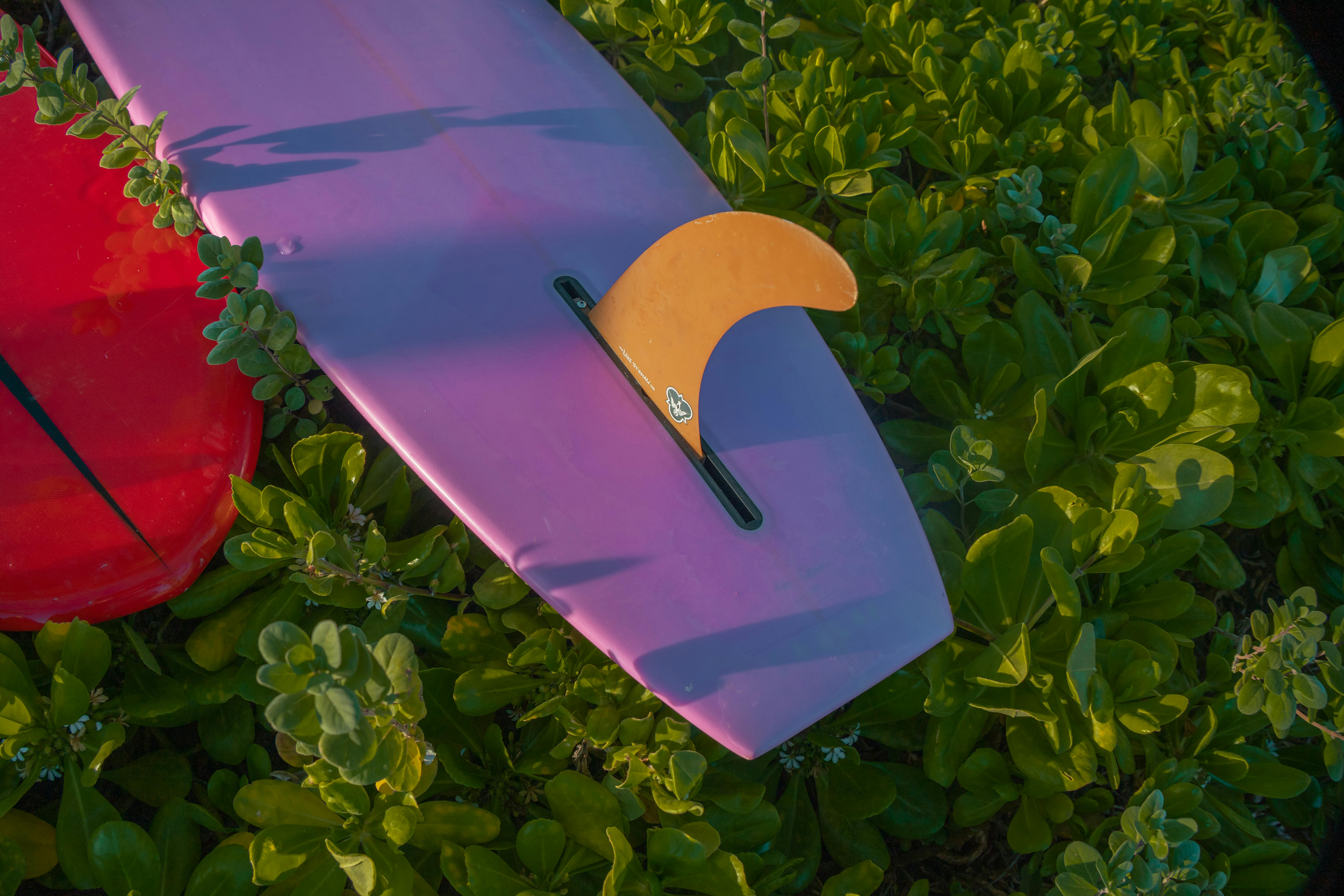 Purple Surfboard on Top of Green Plants · Free Stock Photo