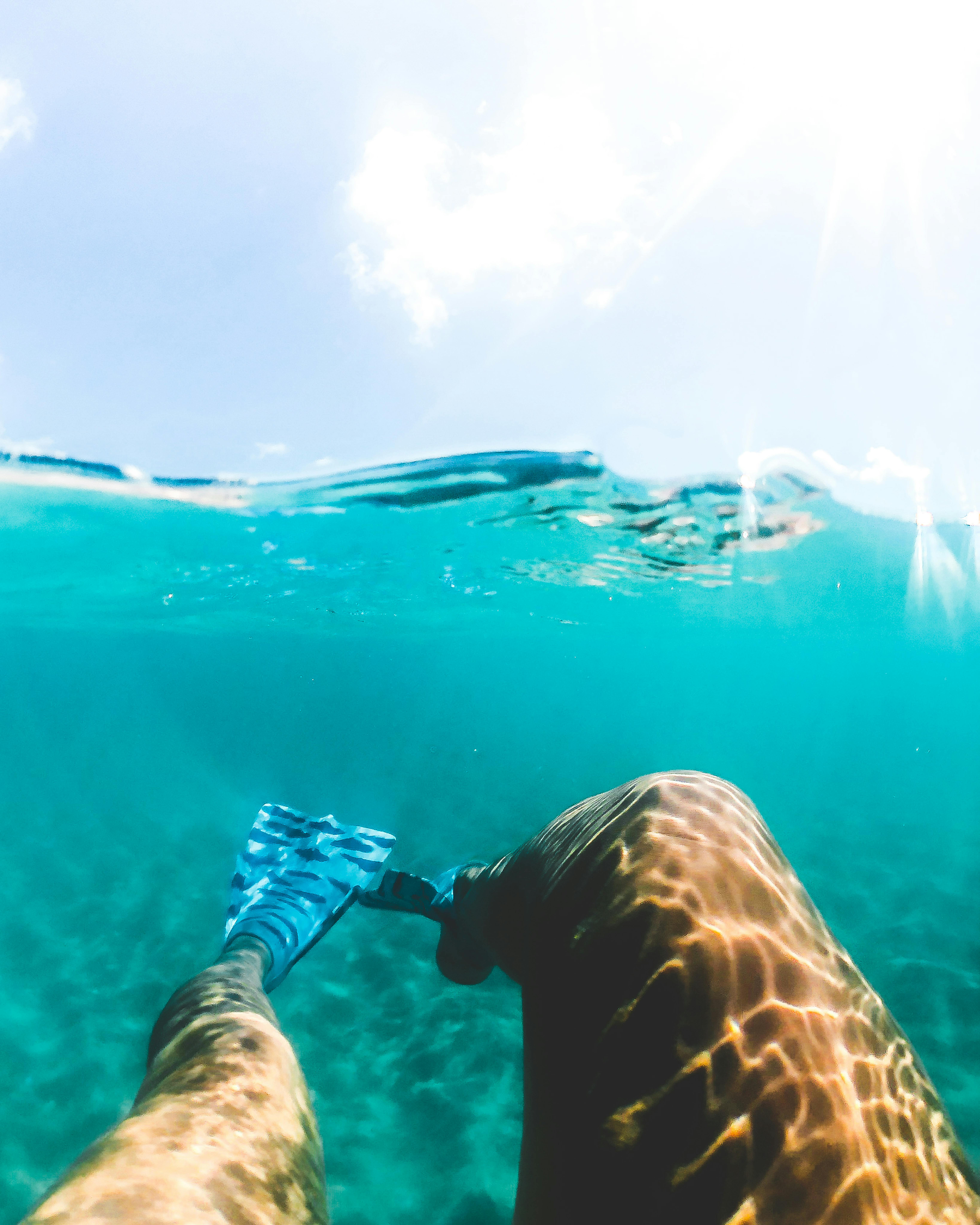 Apple Shadow In Water Photos, Download The BEST Free Apple Shadow In ...