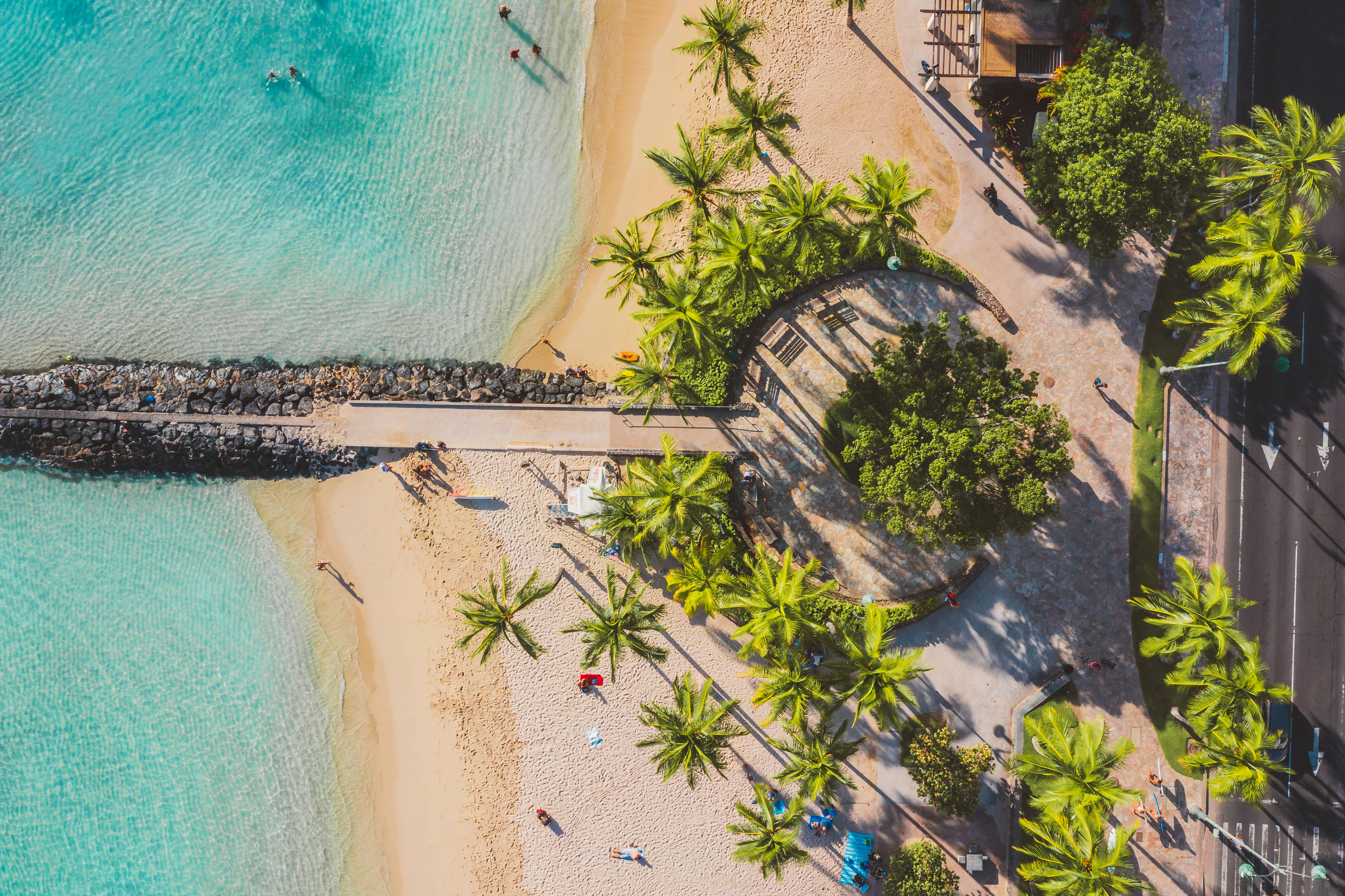 Top View of a Tropical Beach · Free Stock Photo