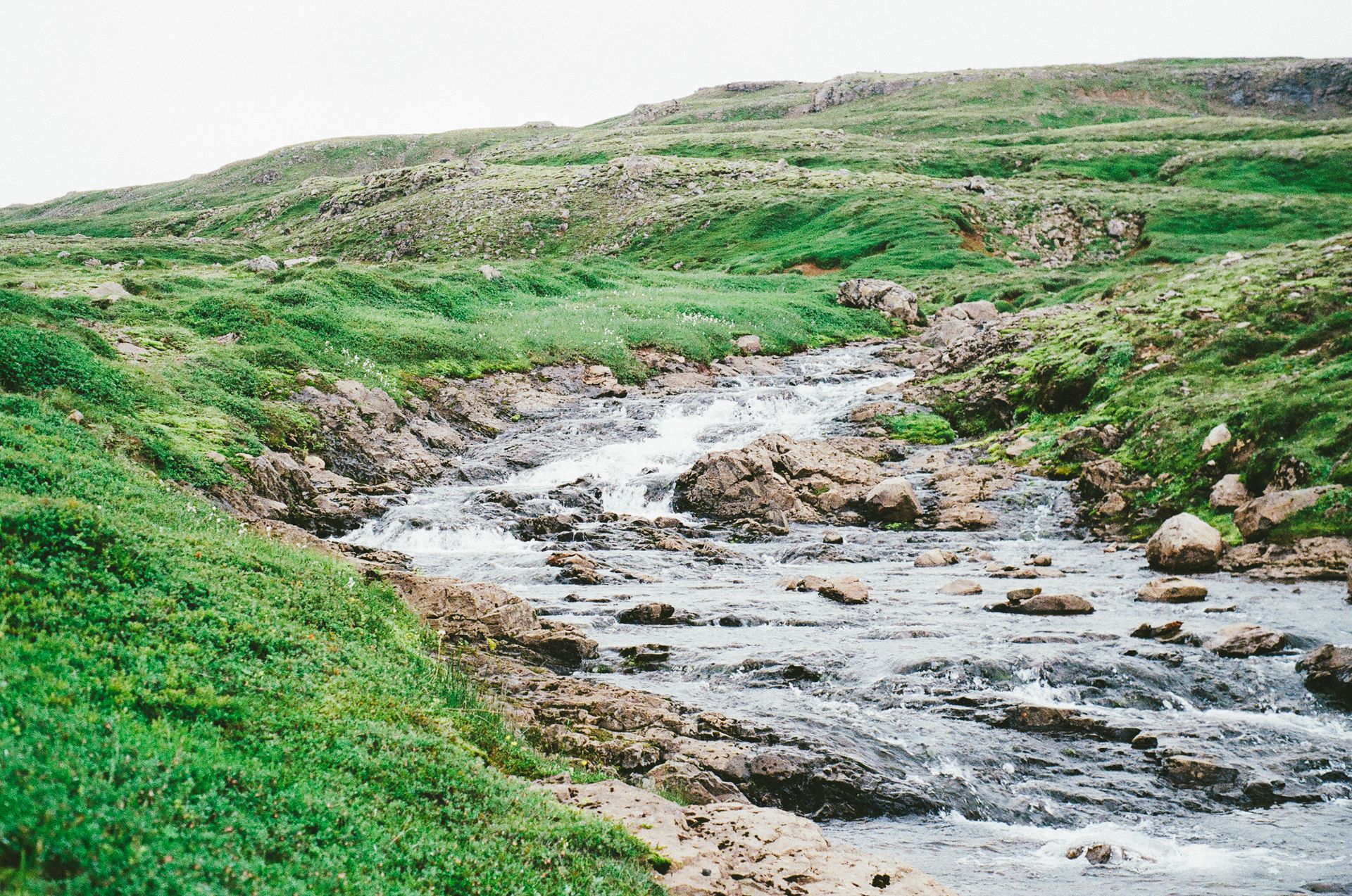 Ücretsiz akarsu, çay, dere stok fotoğrafı