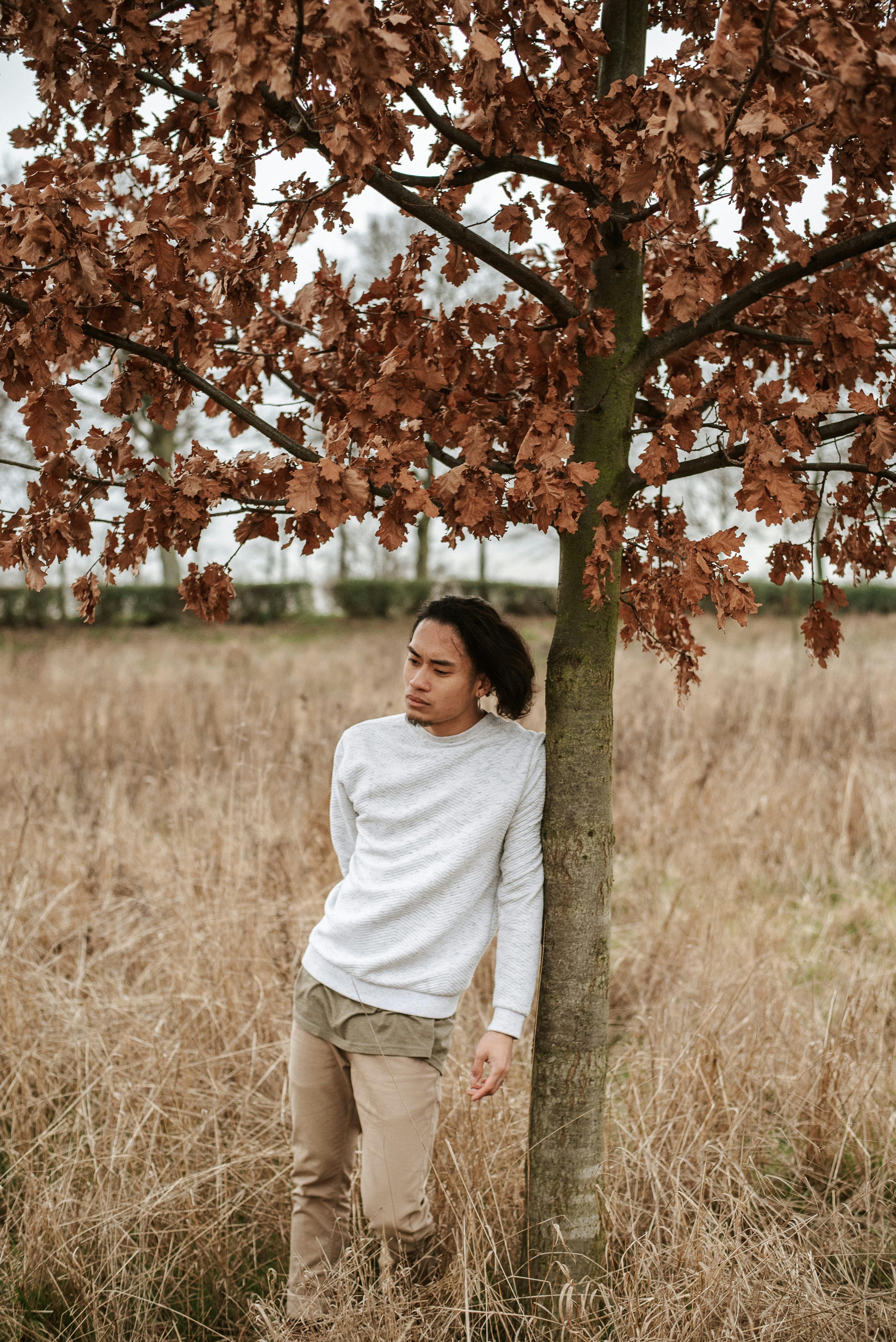 Think Tree Photos, Download The BEST Free Think Tree Stock Photos & HD ...