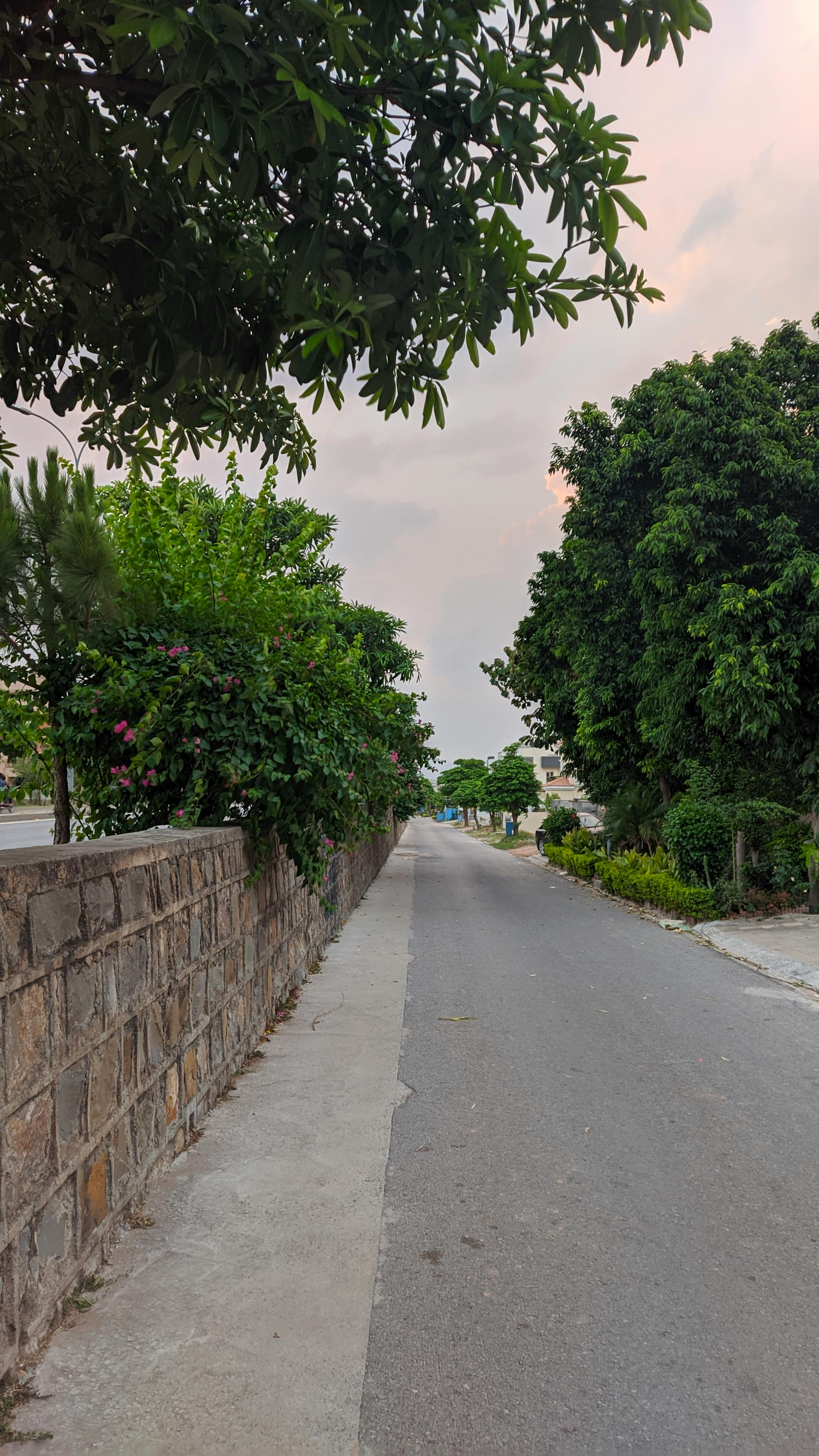 Hamza Jamil - 사진