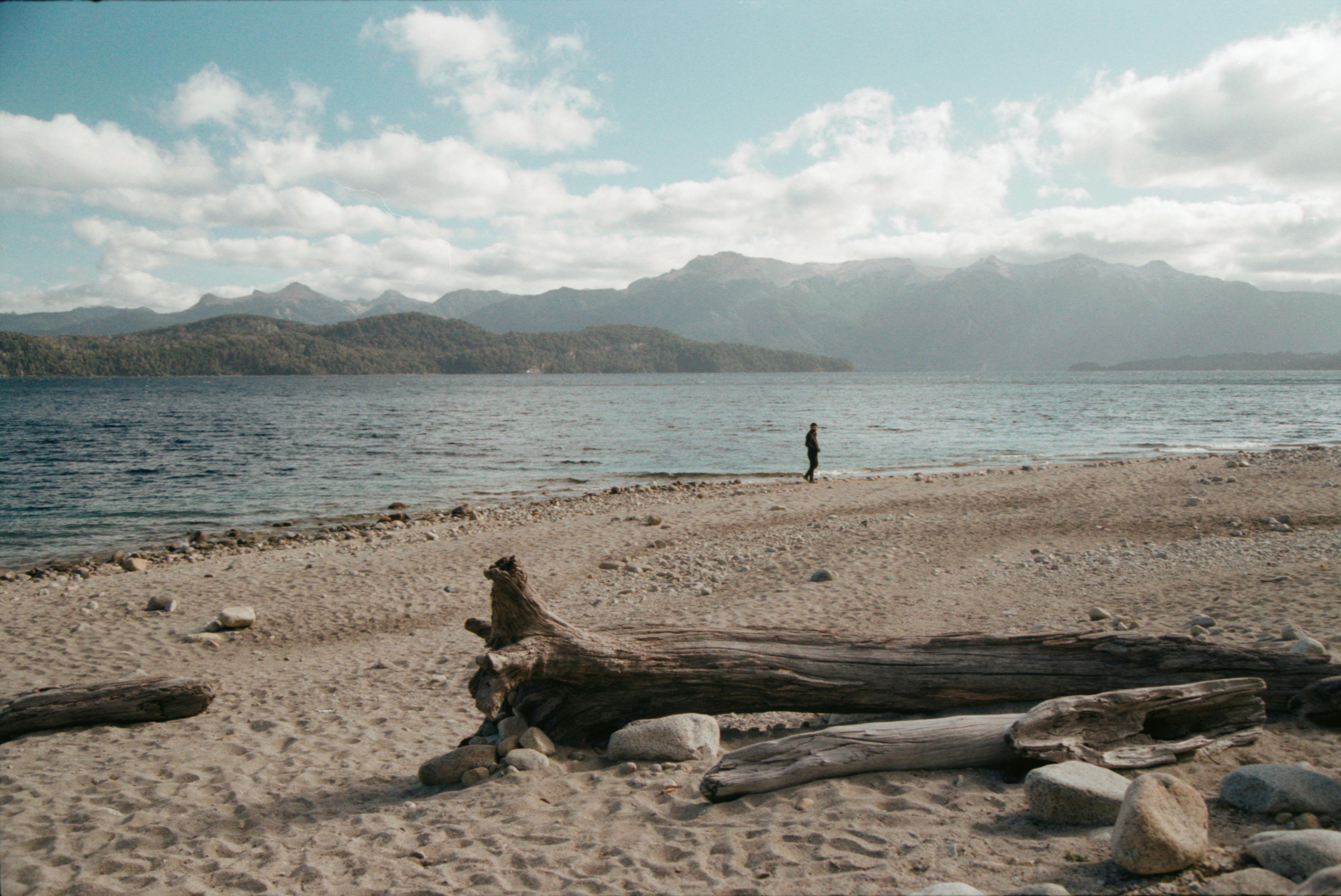 Person Standing on the Beach · Free Stock Photo