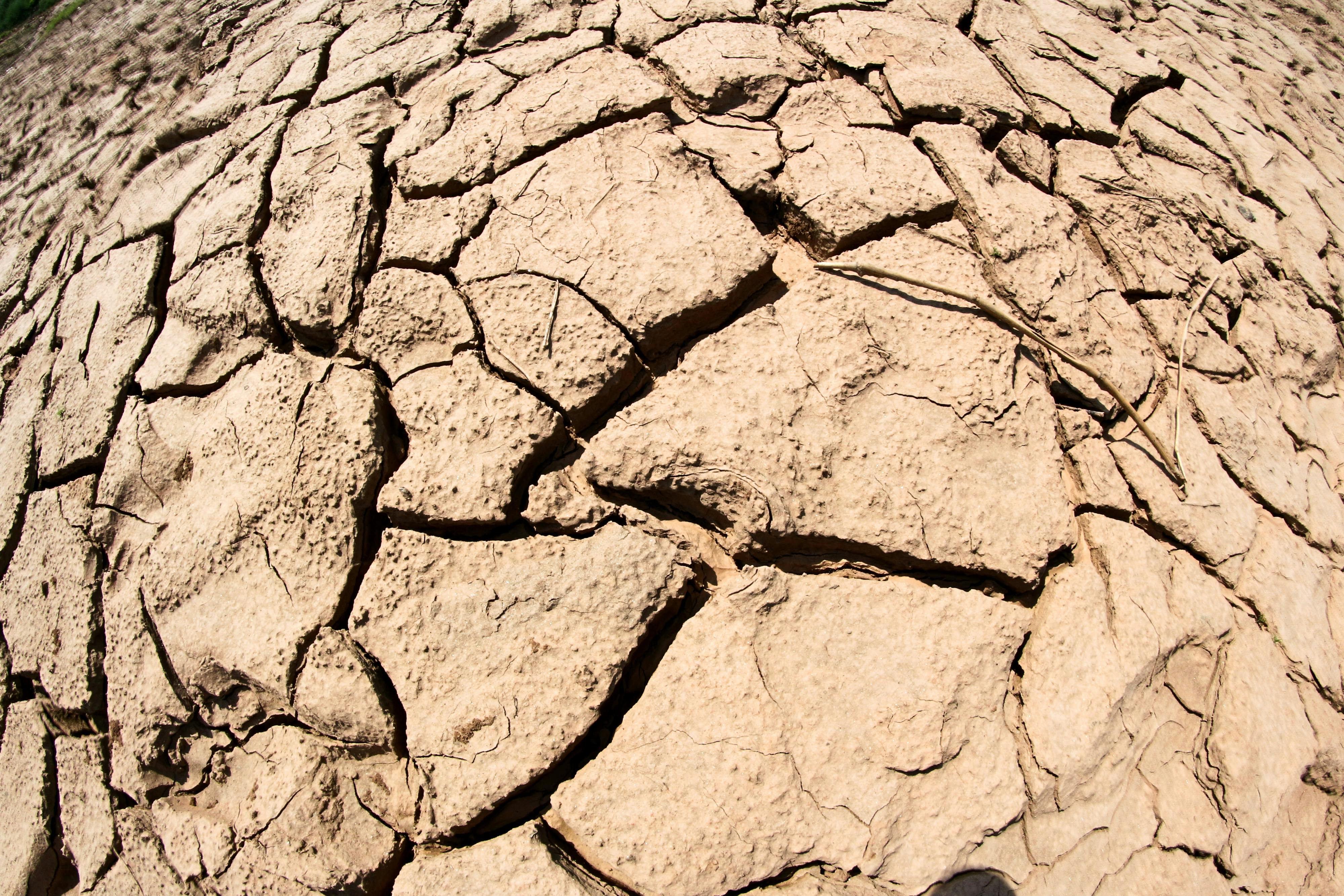 Cracks On A Dry Land · Free Stock Photo