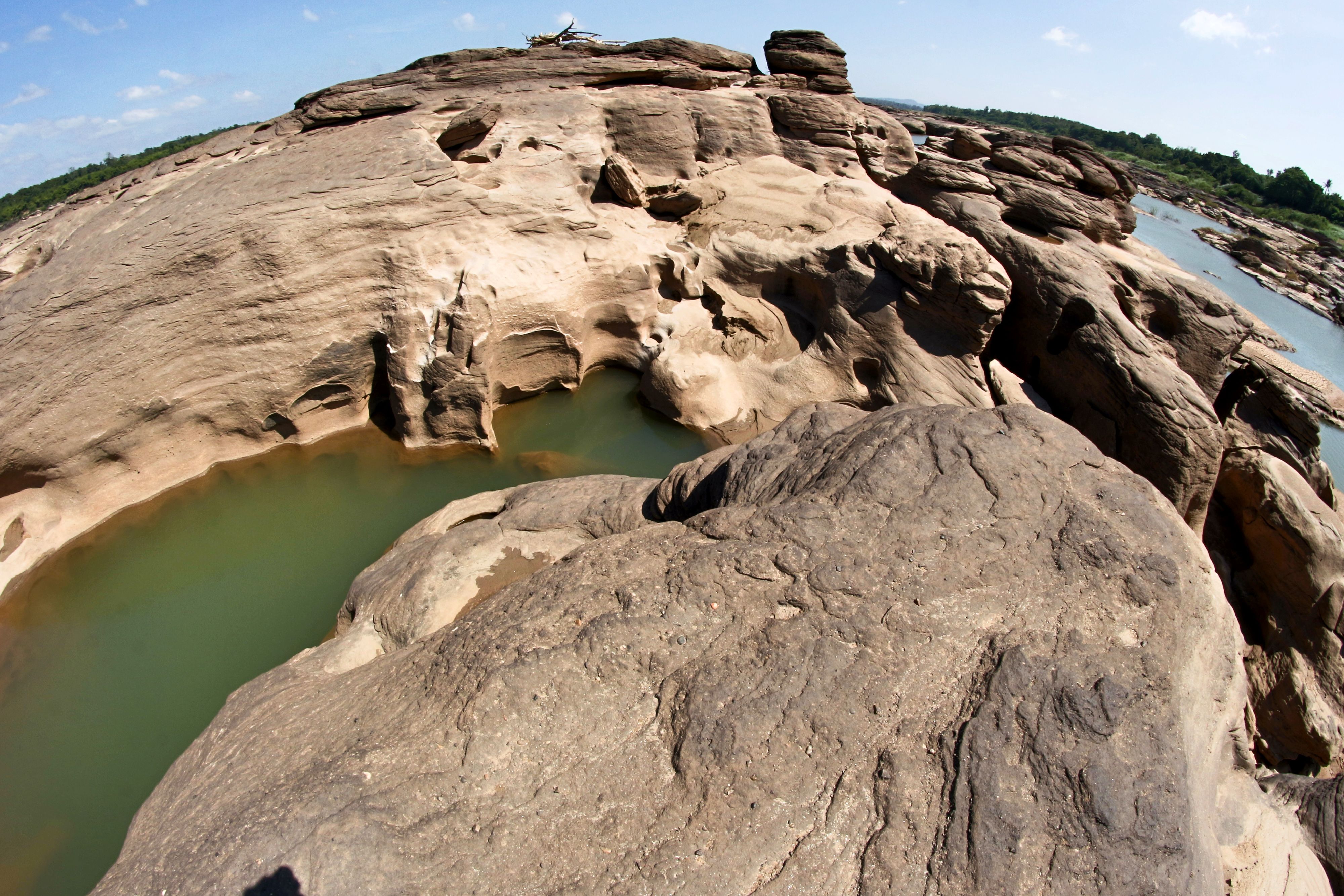 Crevice Photos, Download The BEST Free Crevice Stock Photos & HD Images