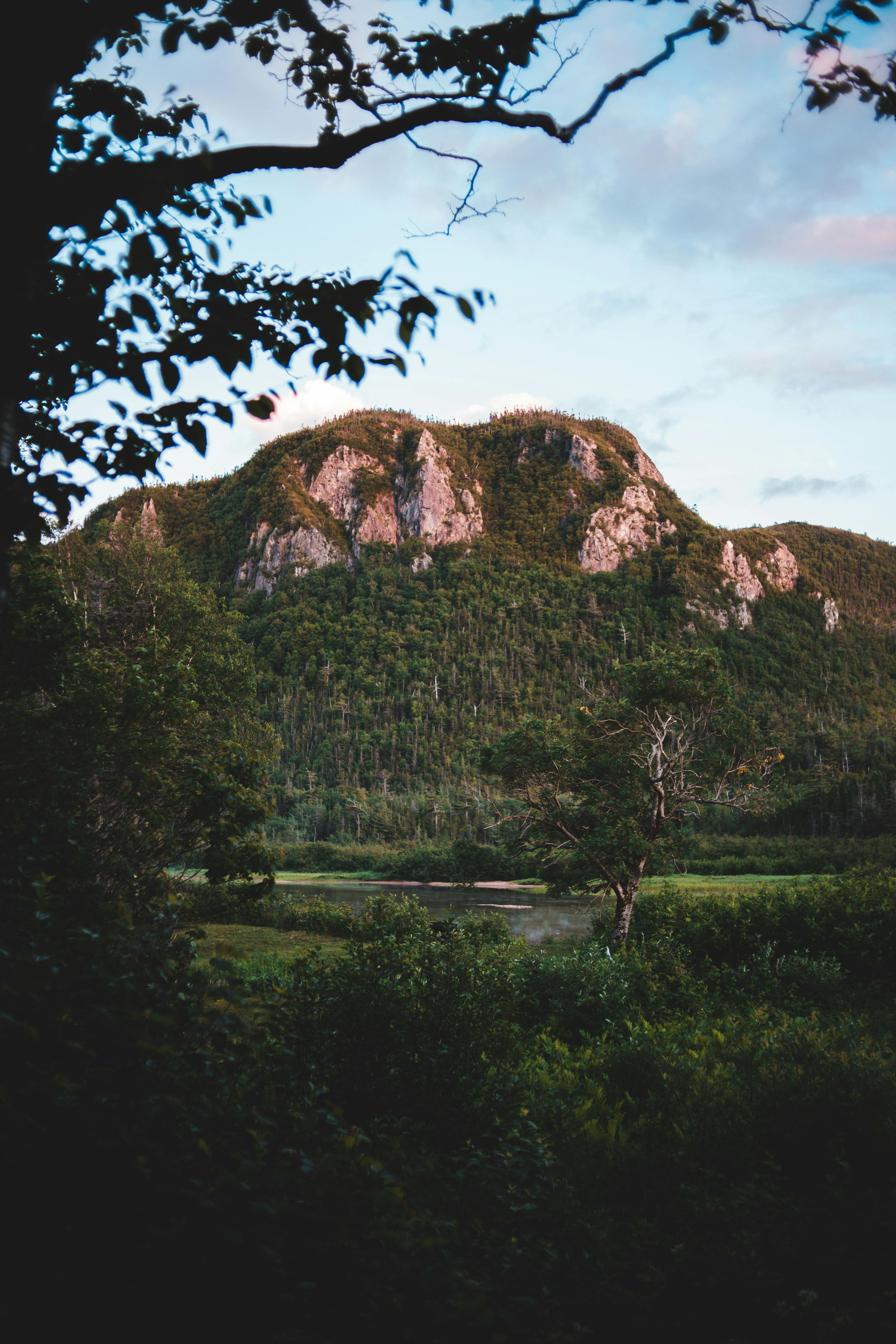 Green trees and mountain in valley · Free Stock Photo