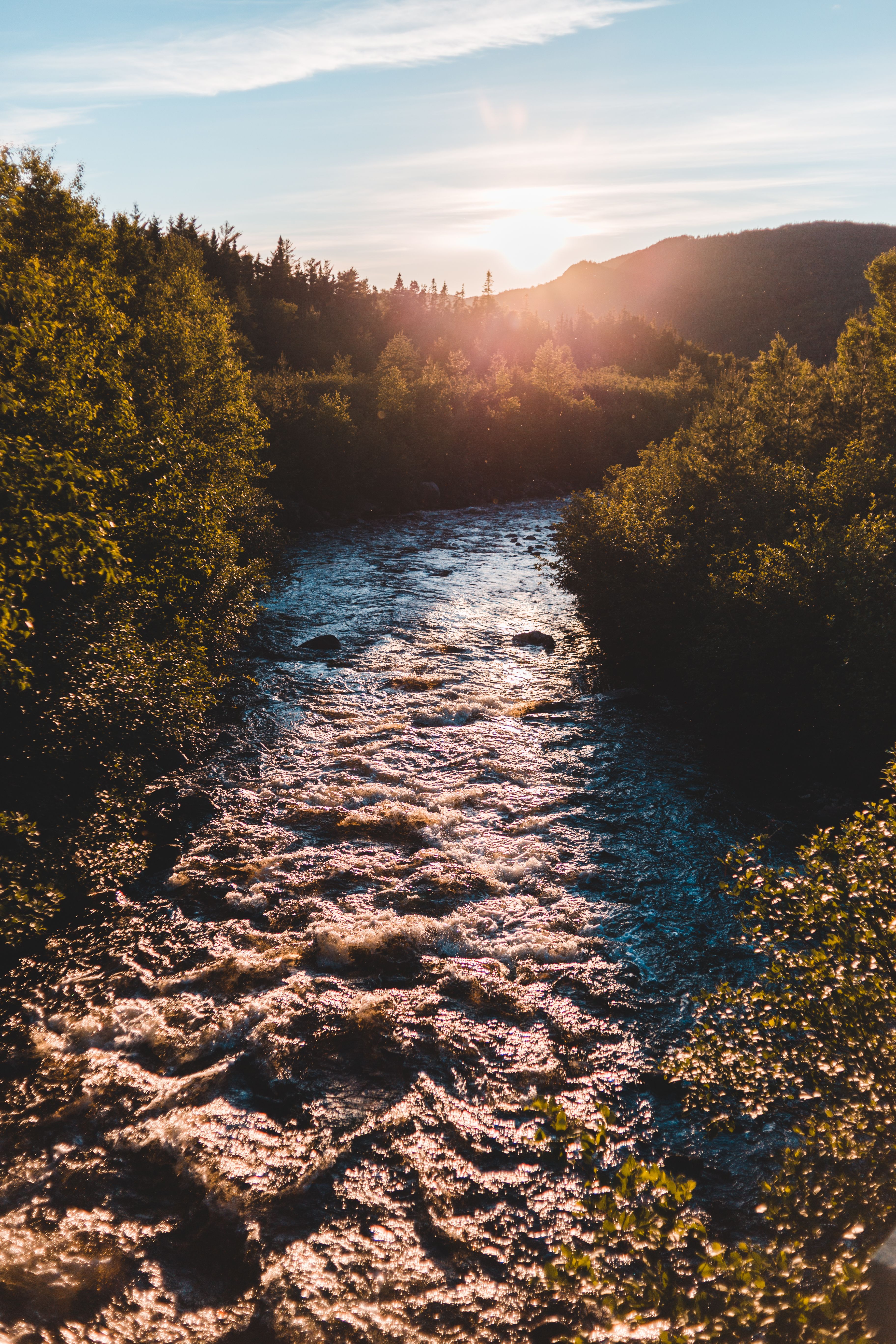 Shallow river between trees under sky at sunset · Free Stock Photo