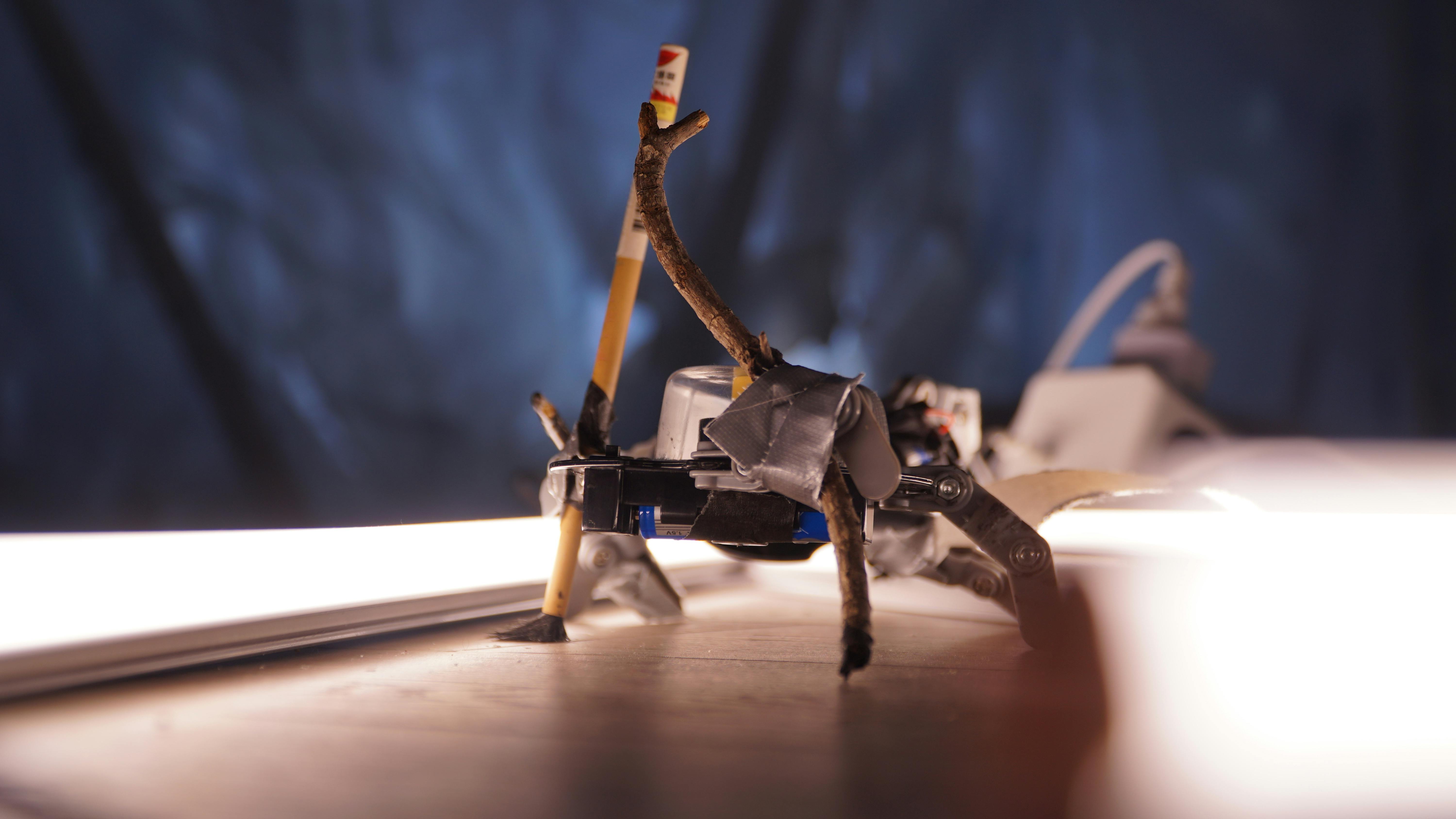 Austen Russell - 사진