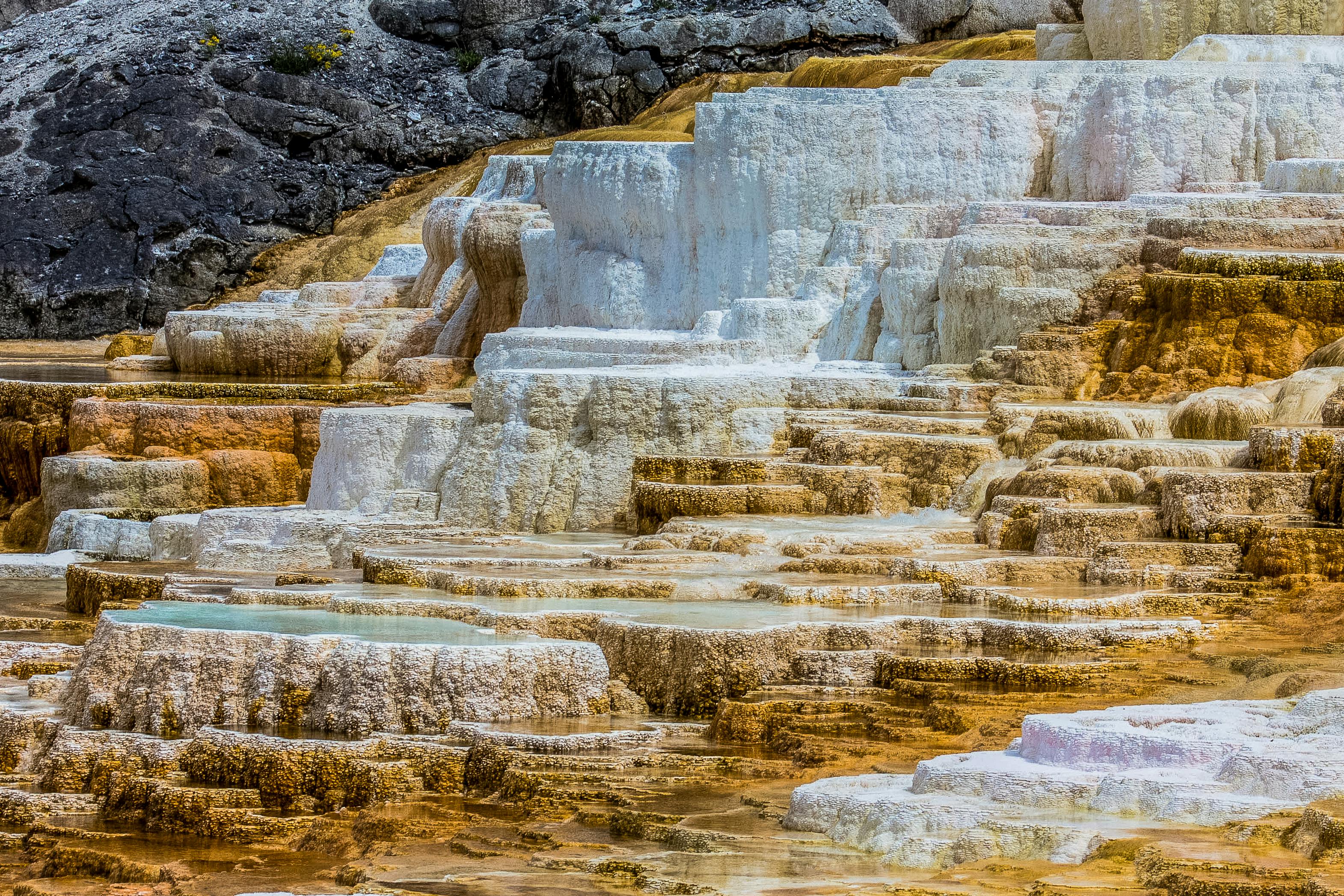 Travertine Terraces at Yellowstone National Park · Free Stock Photo