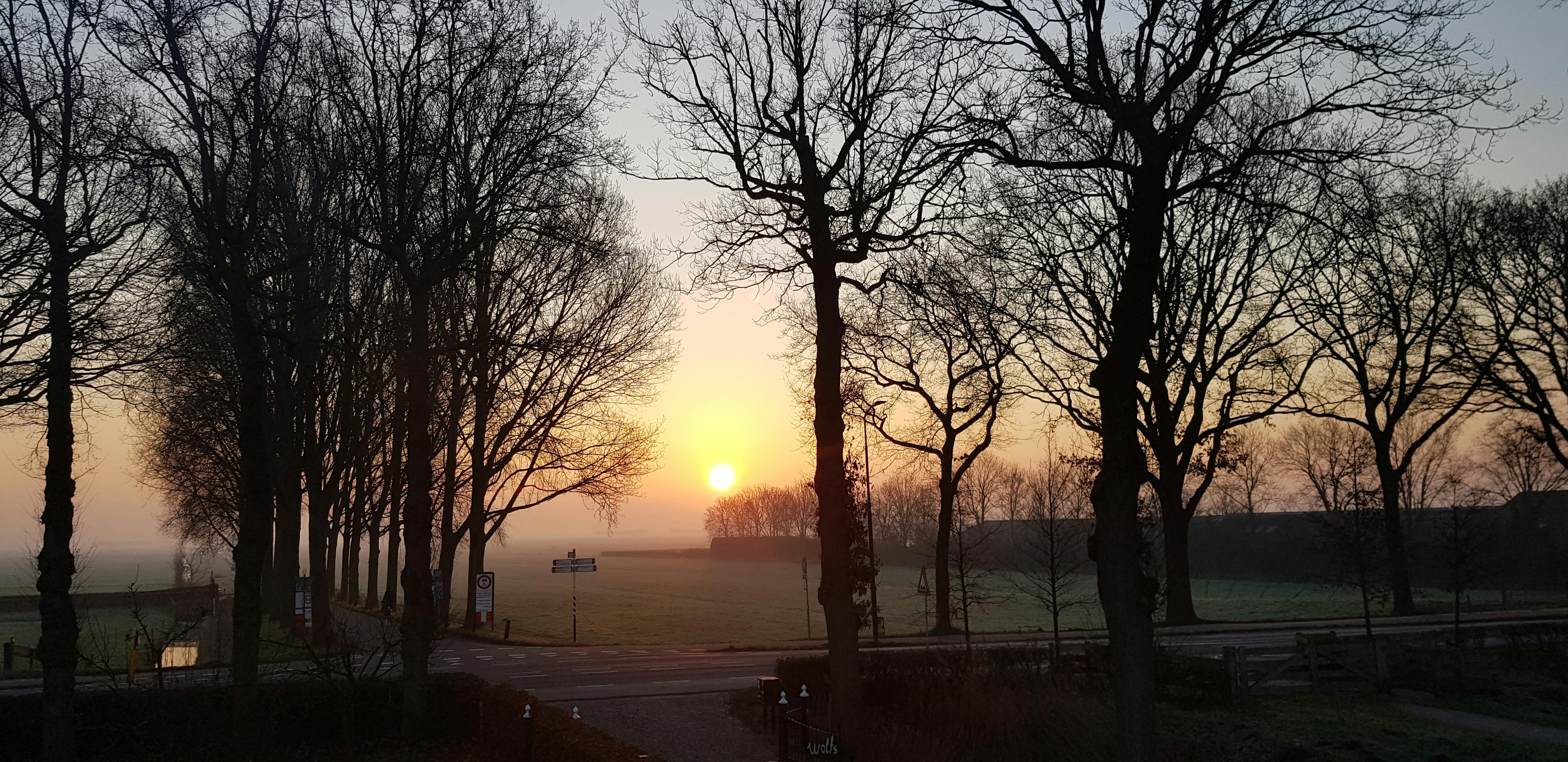 Tim den Haan - 사진