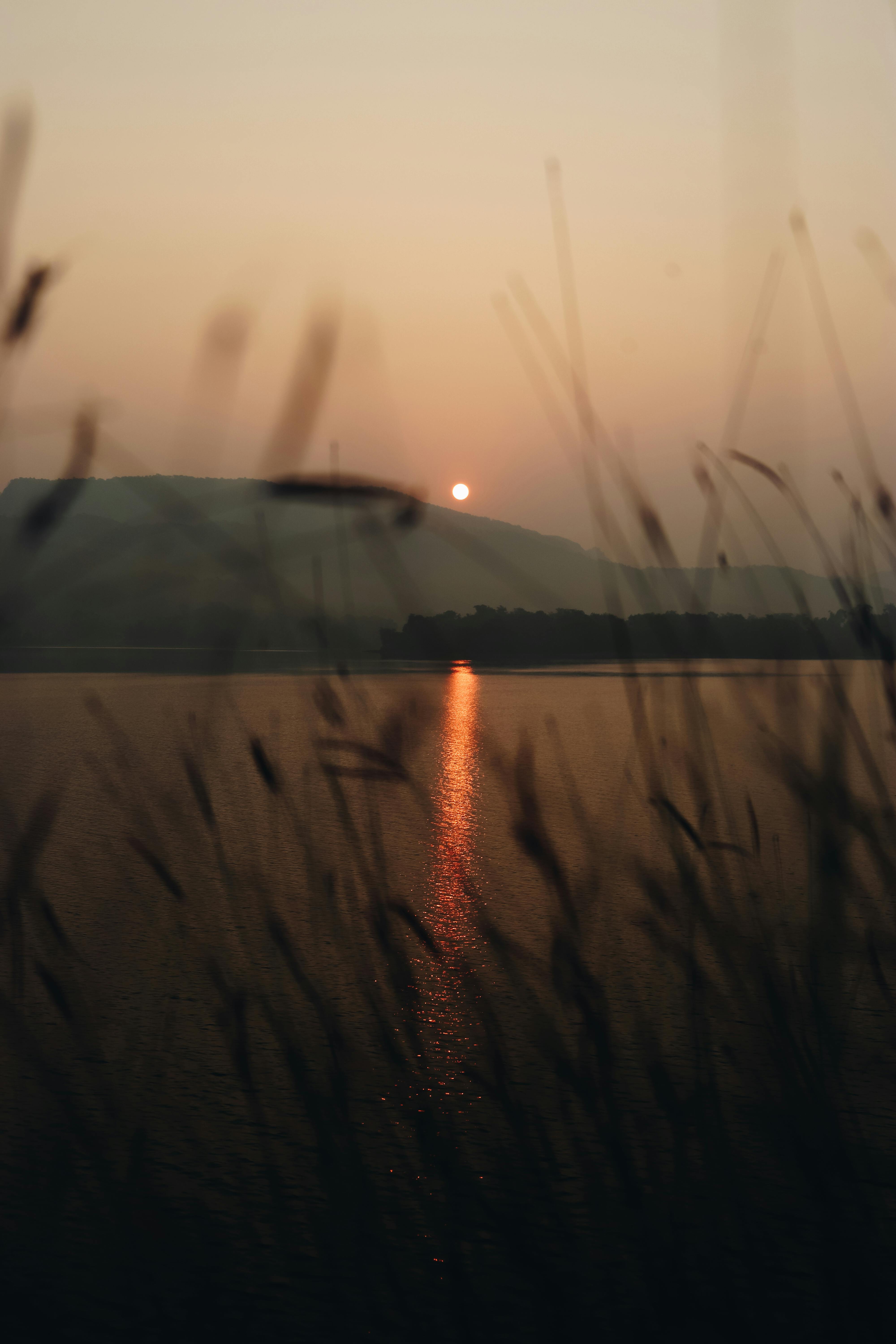 Sunset Glare Photos, Download The BEST Free Sunset Glare Stock Photos ...