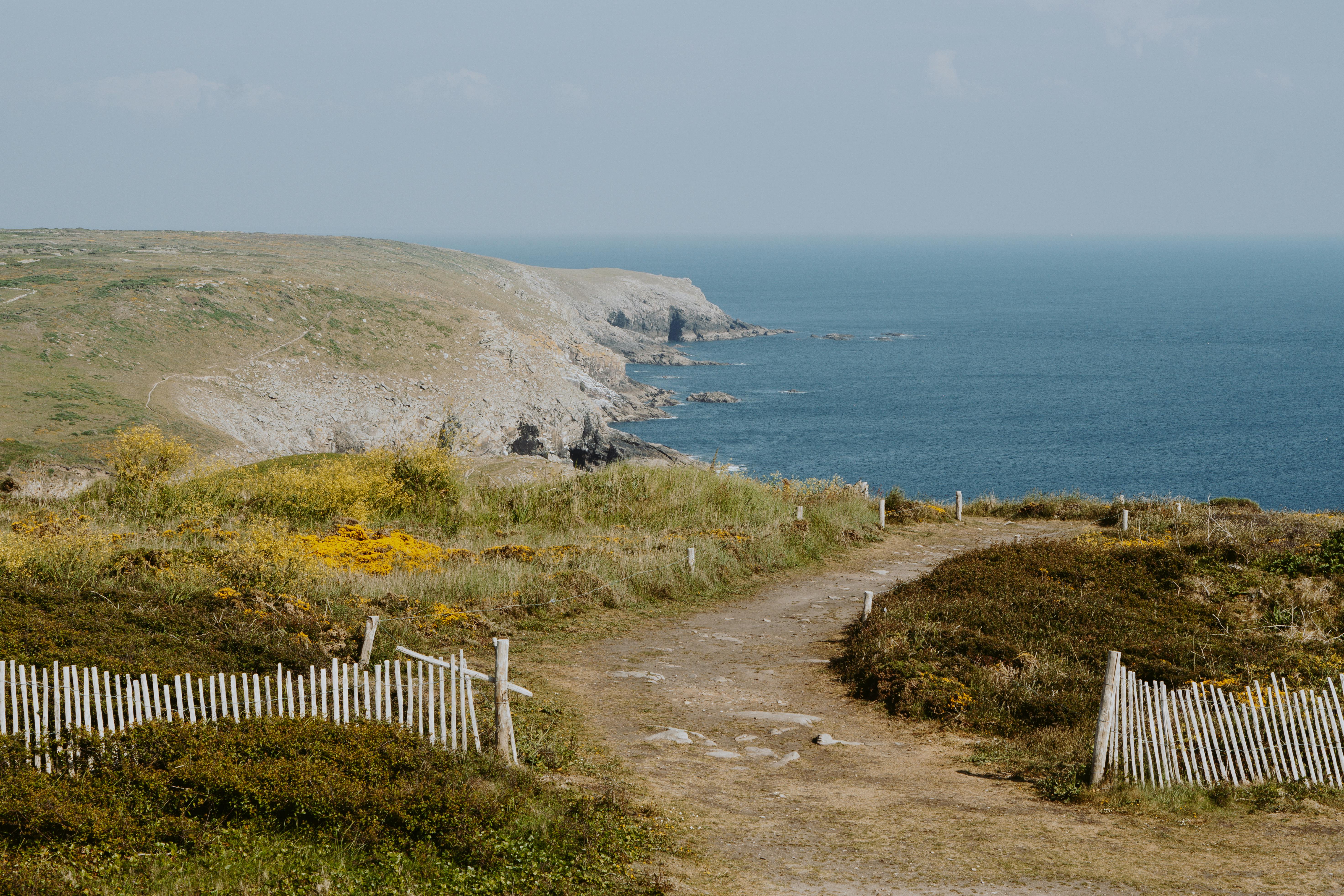 Rocky cliff covered with grass surrounding ocean on sunny day · Free ...