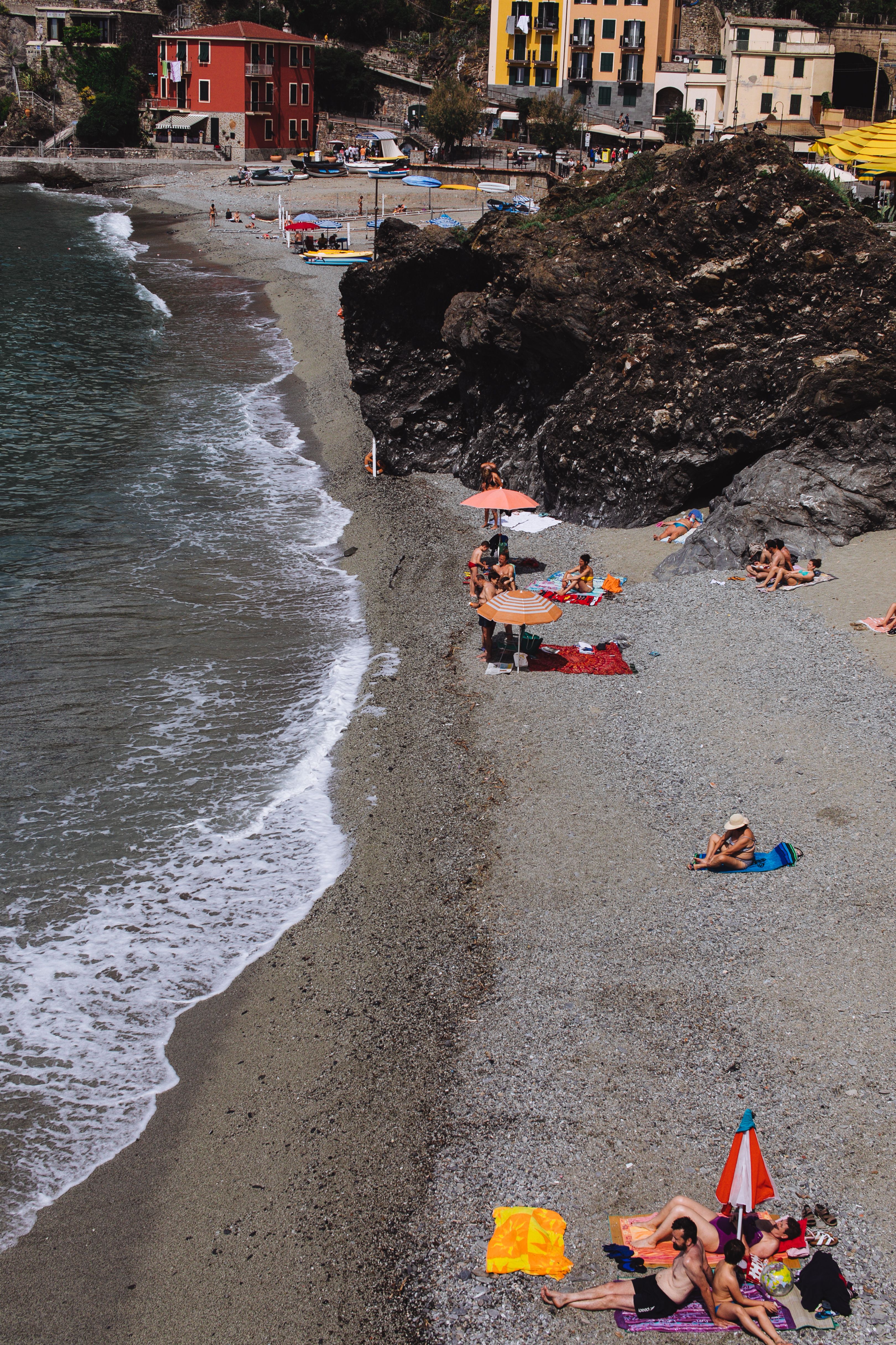 People sunbathing on sandy beach · Free Stock Photo