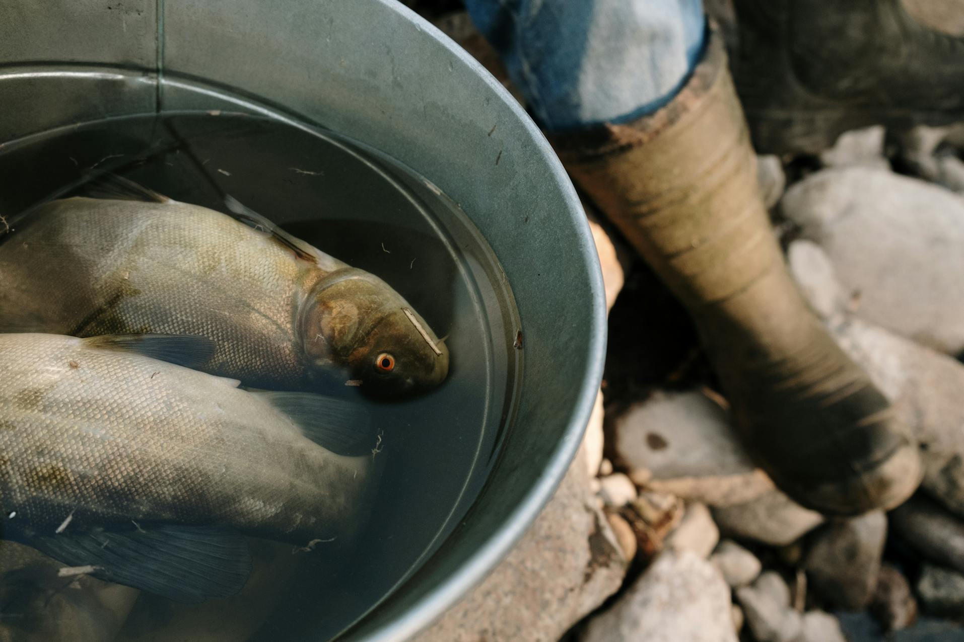 Understanding S3 Bucket ARNs: A Beginner's Guide