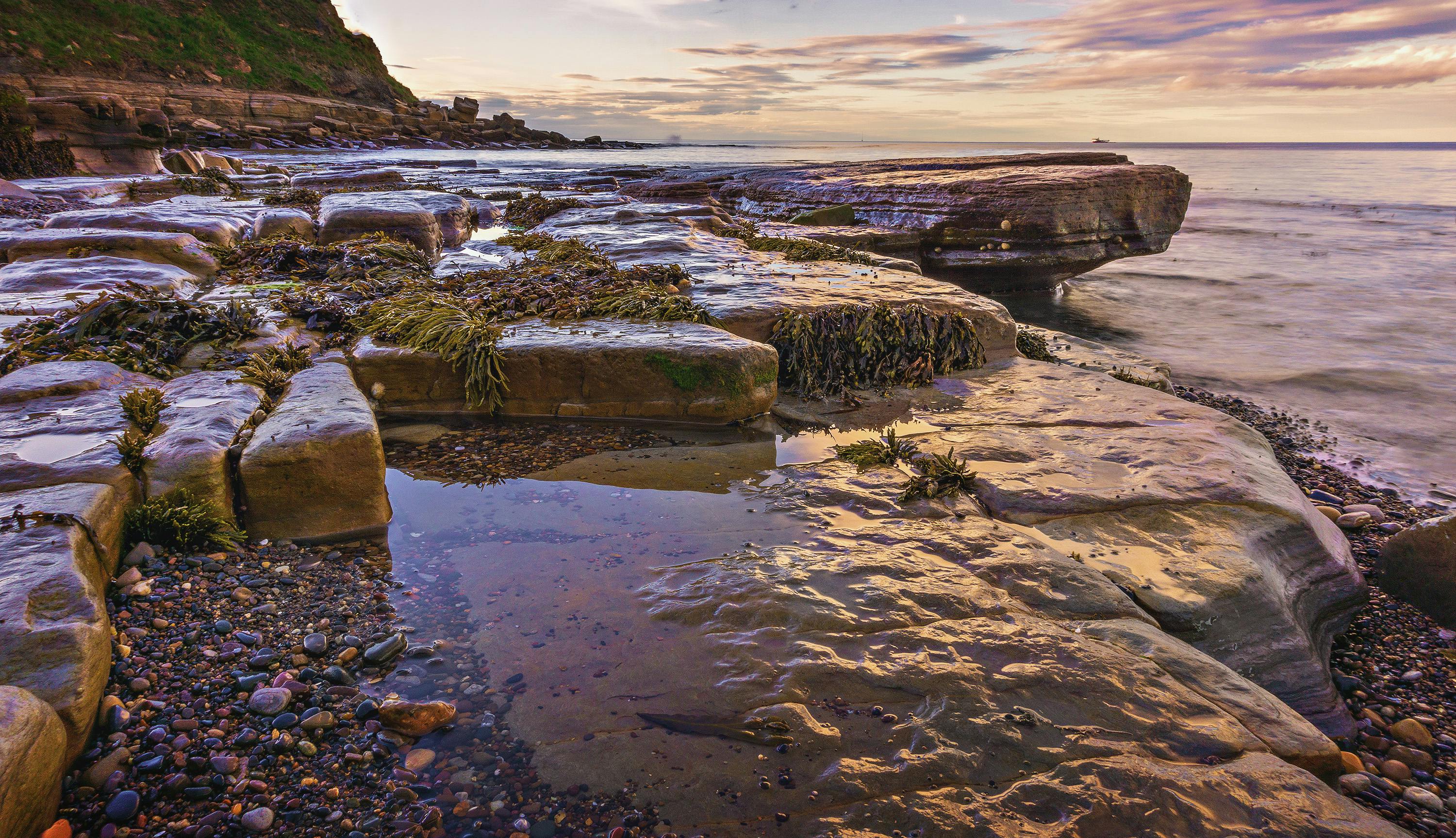 Photo of a Rocky Beach · Free Stock Photo